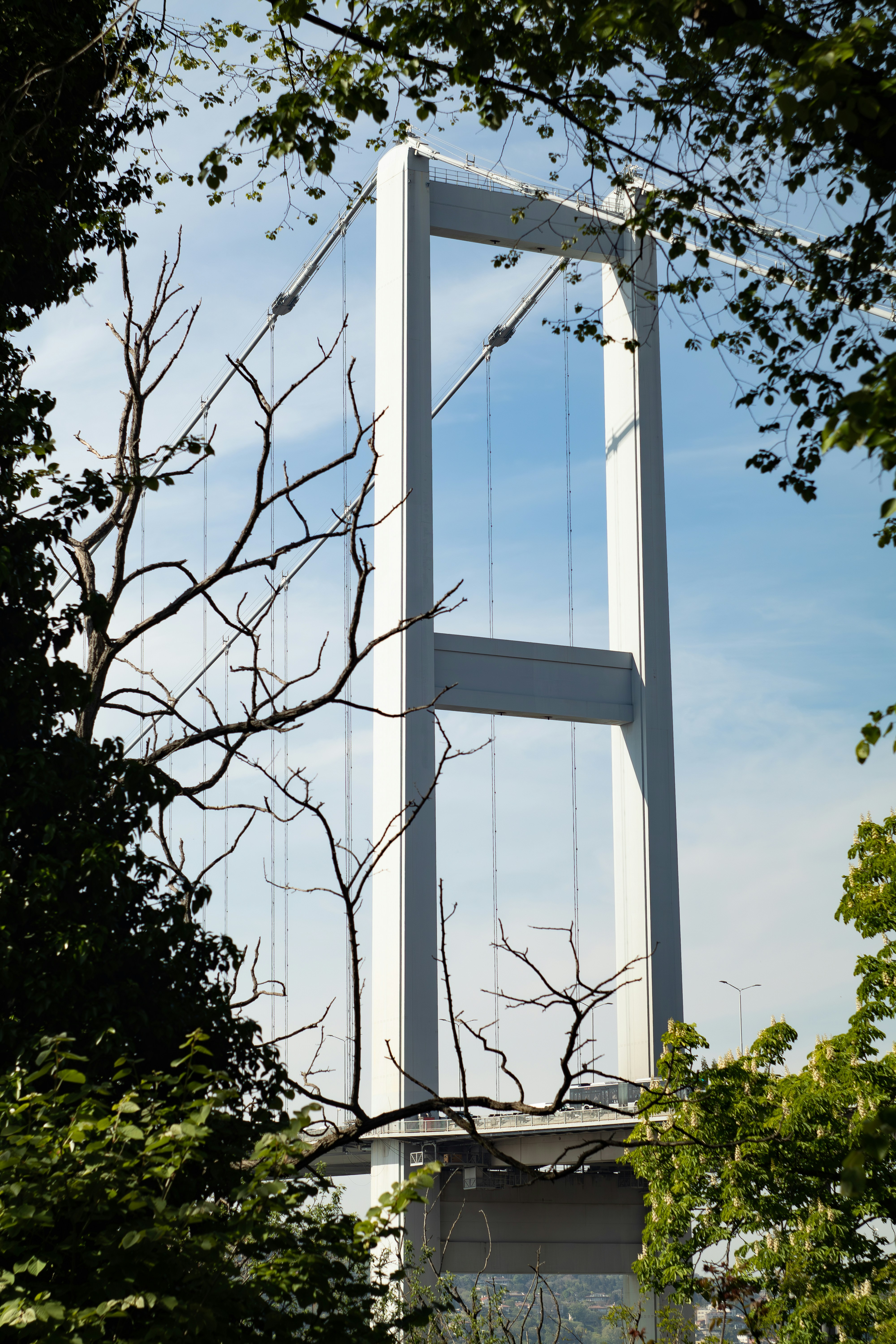 Apex of Steel: White Suspension Tower Framed by Spring Foliage