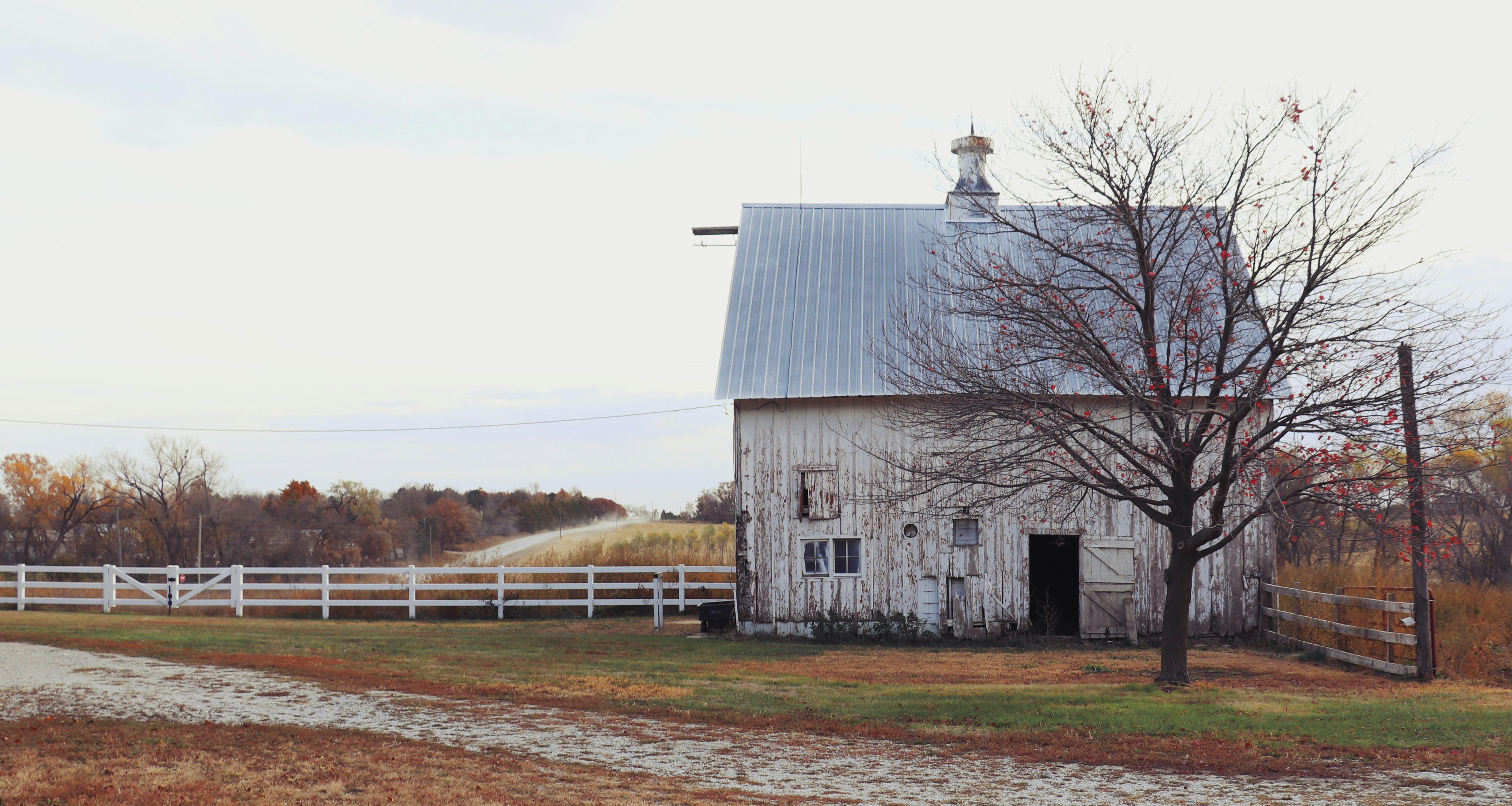 Photo by Nick Orduna with Canon EOS 200D Mark II