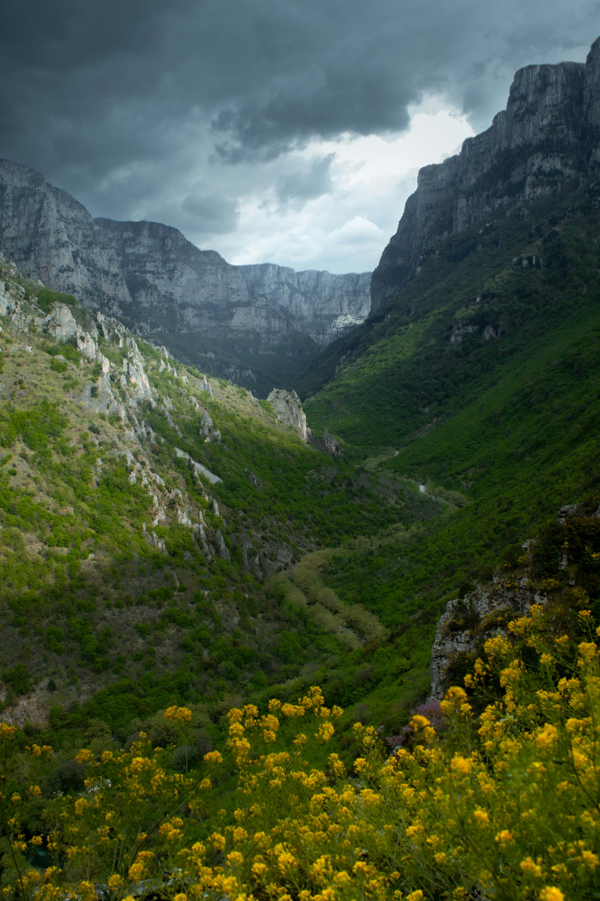 Gorge in Green: Light Breaks Over a Storm-Washed Canyon