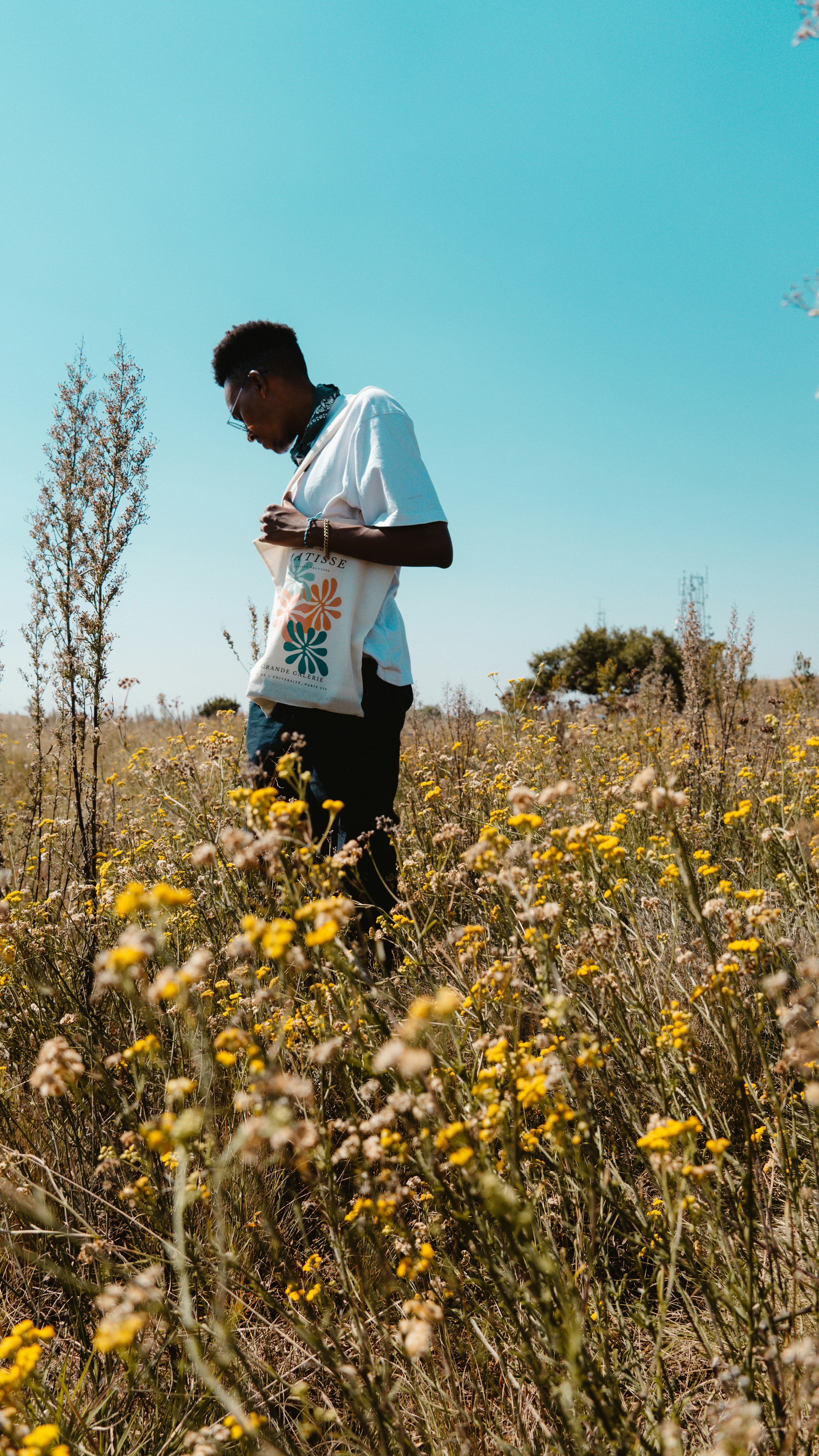 Solar Hero in a Field of Yellow Quiet