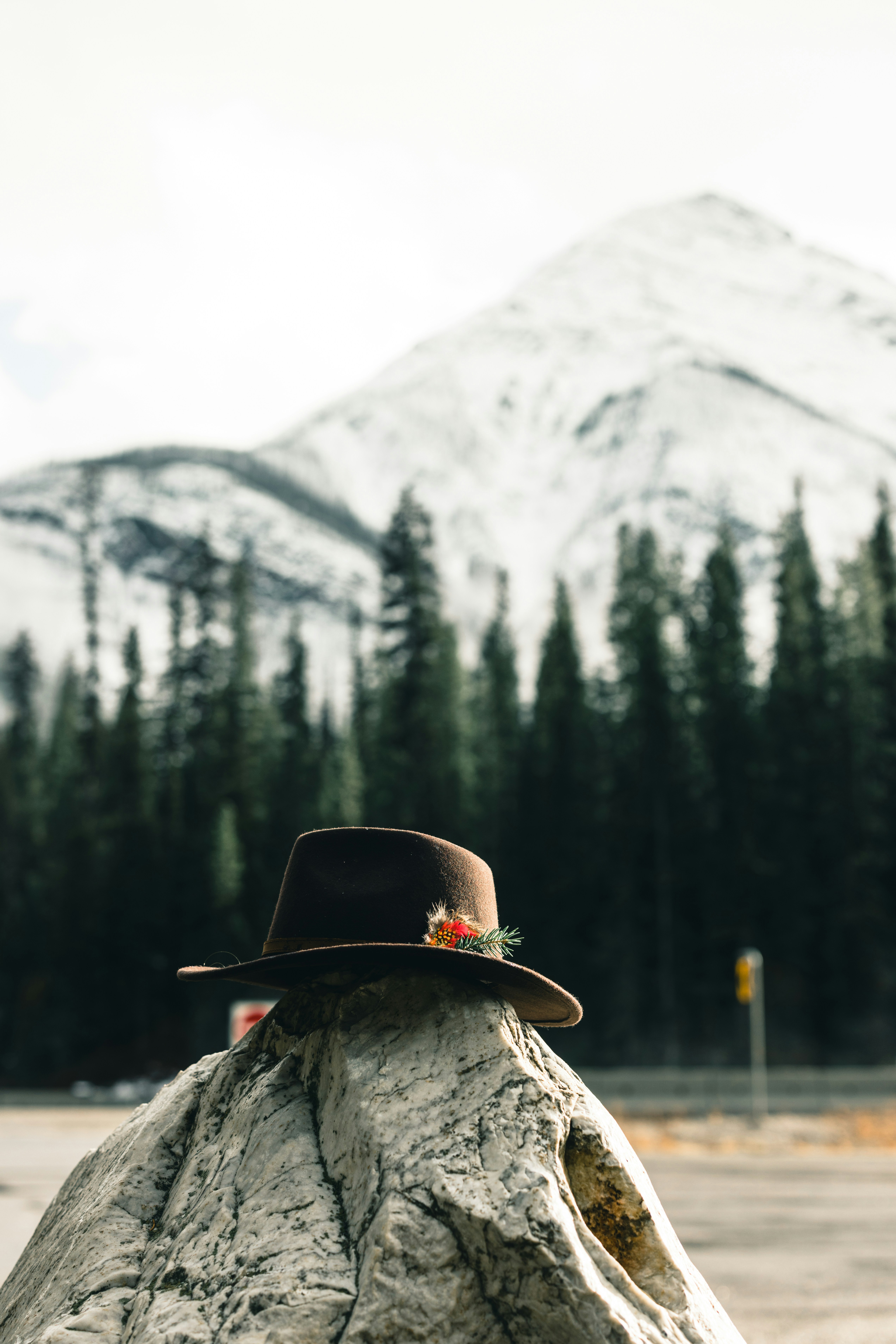 Rocky Peak Fedora: A Hat Resting on a Stone Crest against Snowy Pines