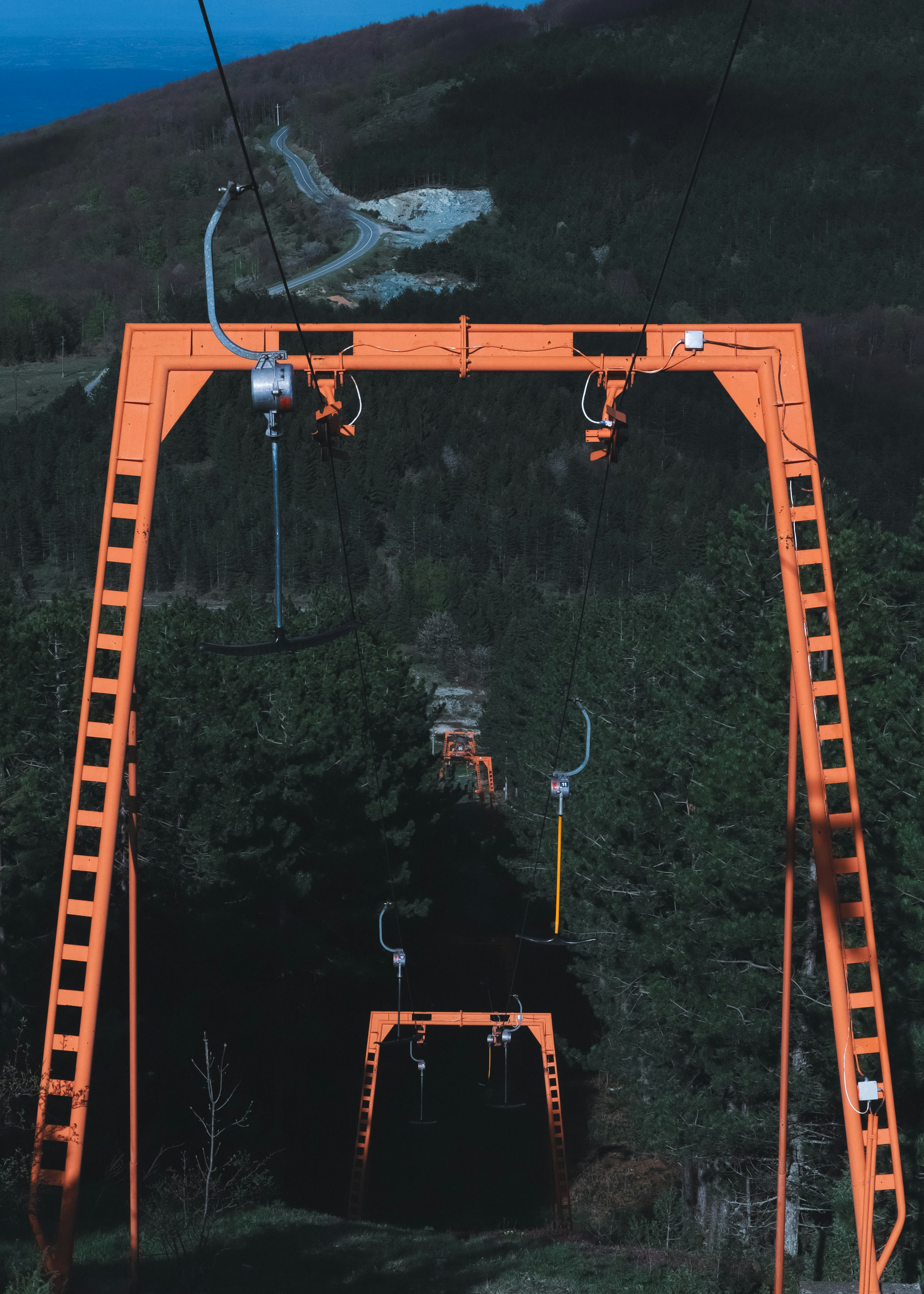 Orange Gateways: A Cable-Car Descent Through a Pine-Tunnel