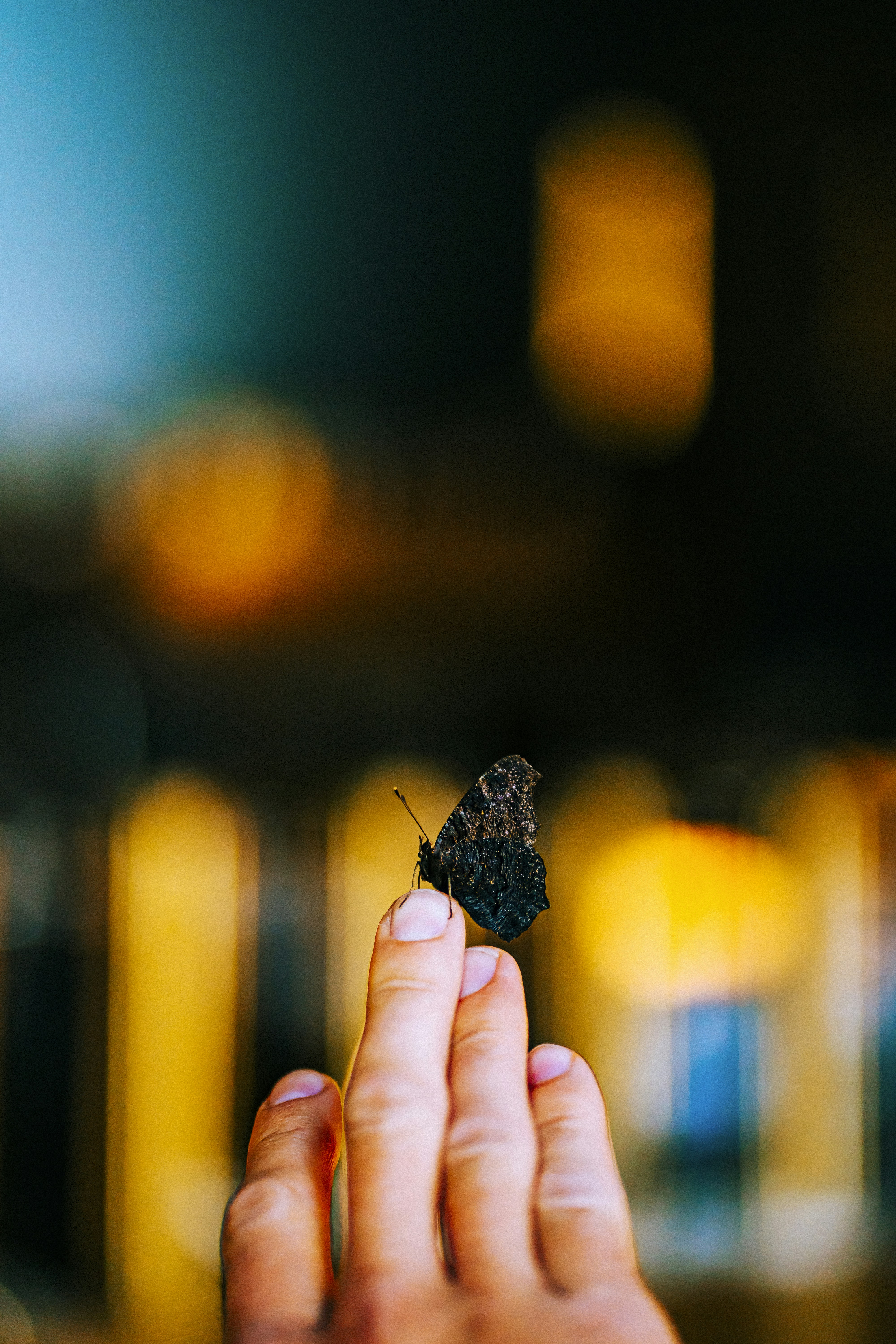 Whispers of Nature on a Fingertip