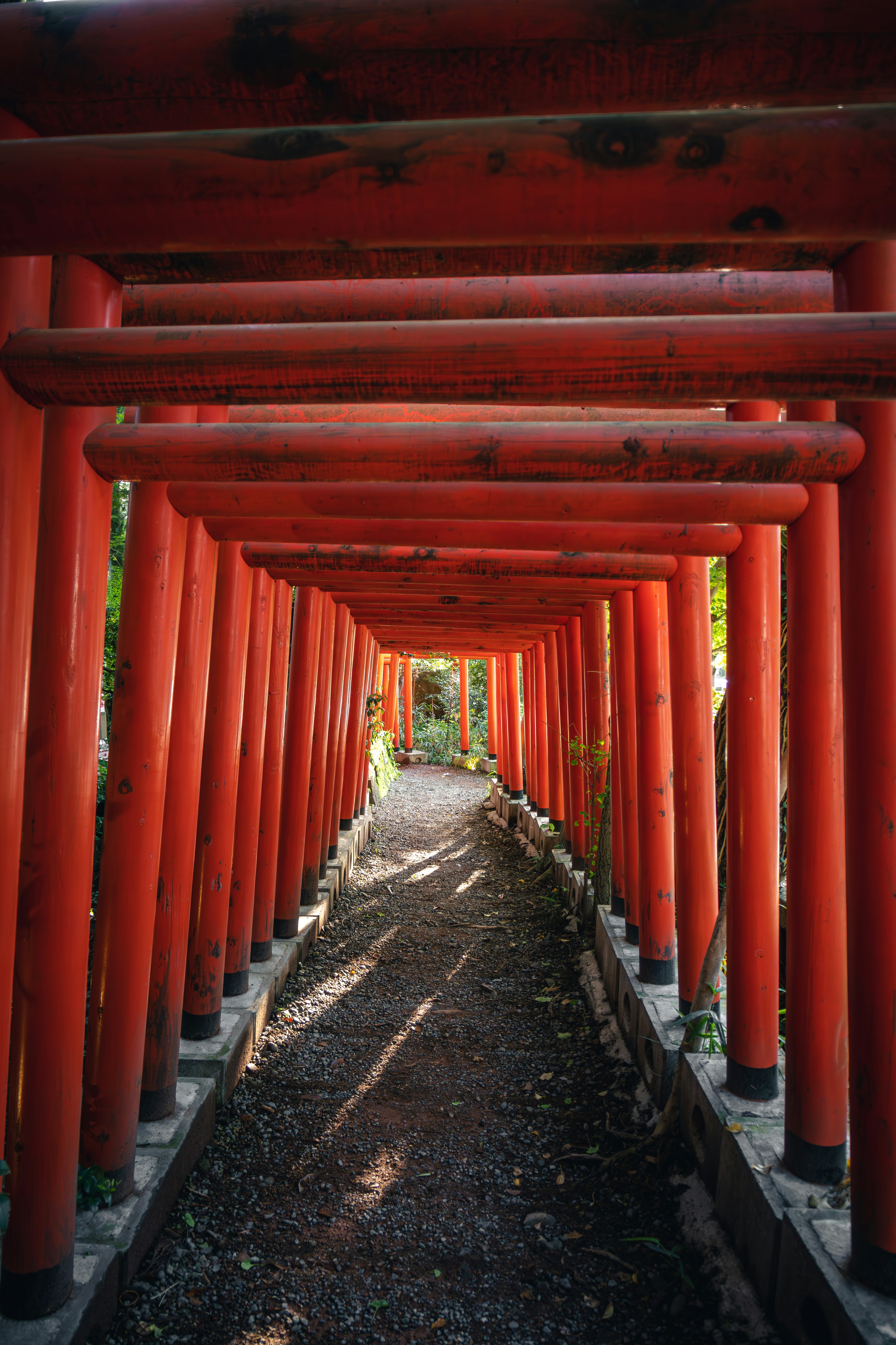 A pathway lined with red pillars in a forest photo – Free Ishikawa ...