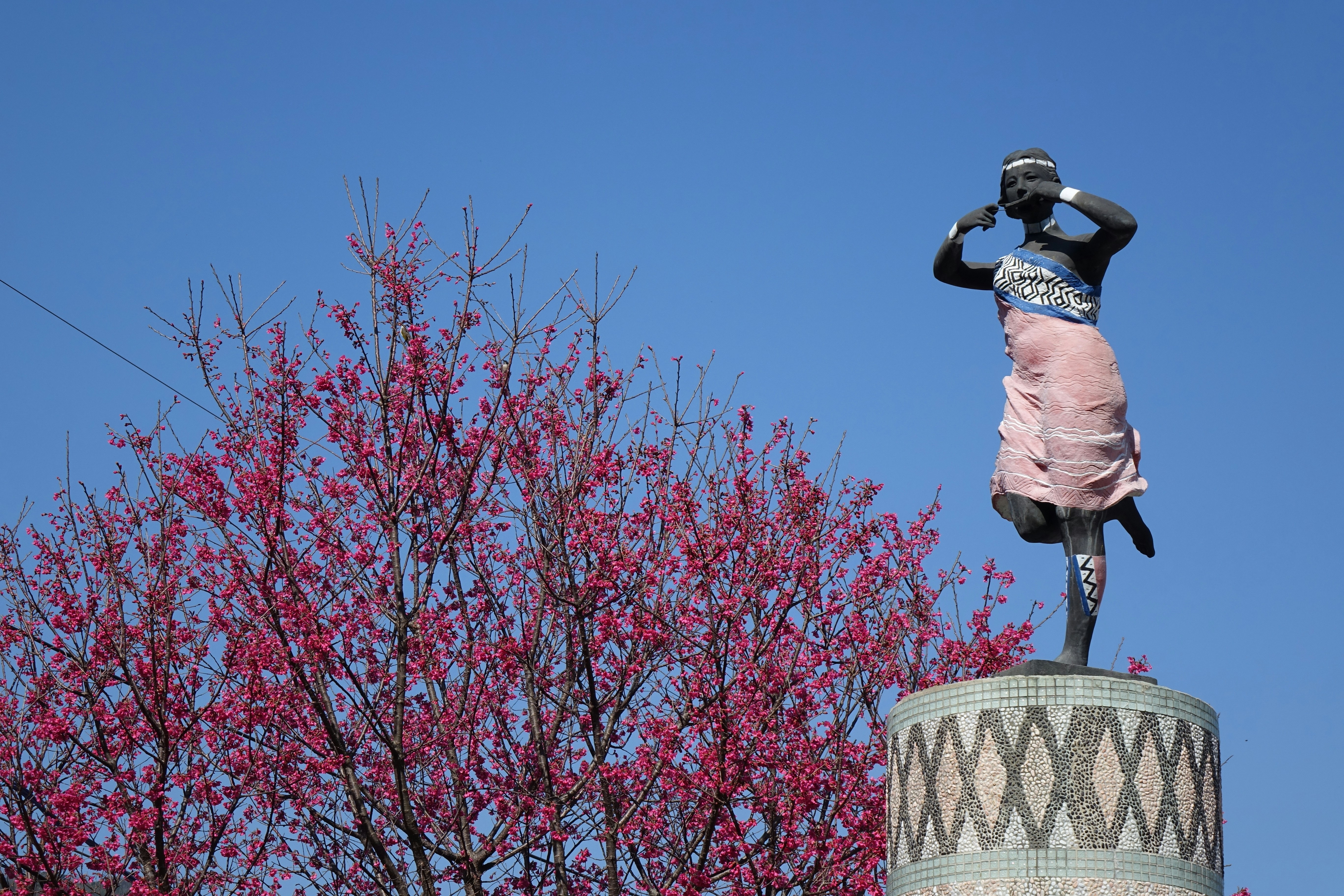 Dancer on a Tessellated Pedestal Framed by Spring Blossoms