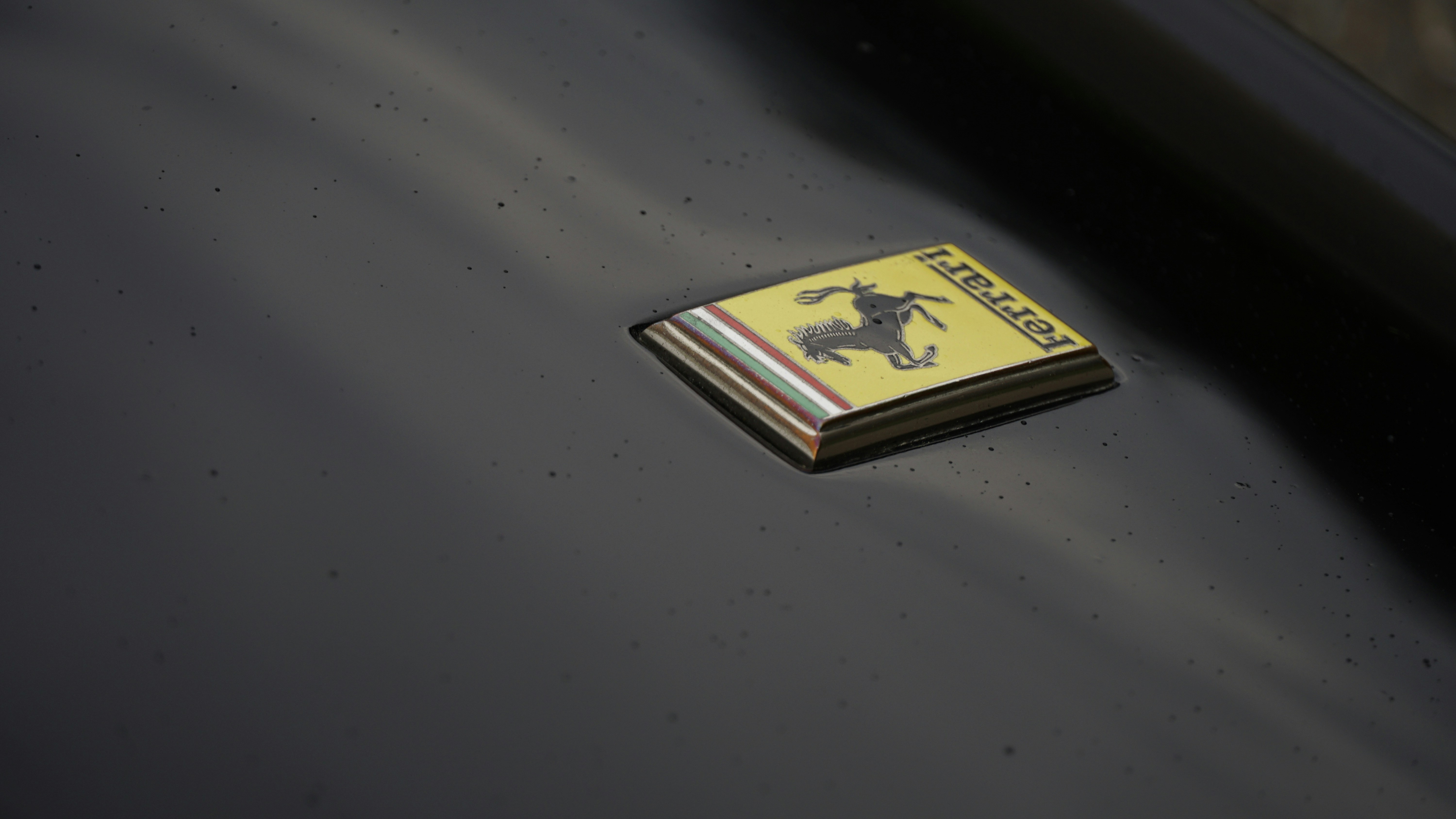 Ferrari Shield Gleams on a Rain-Kissed Black Hood