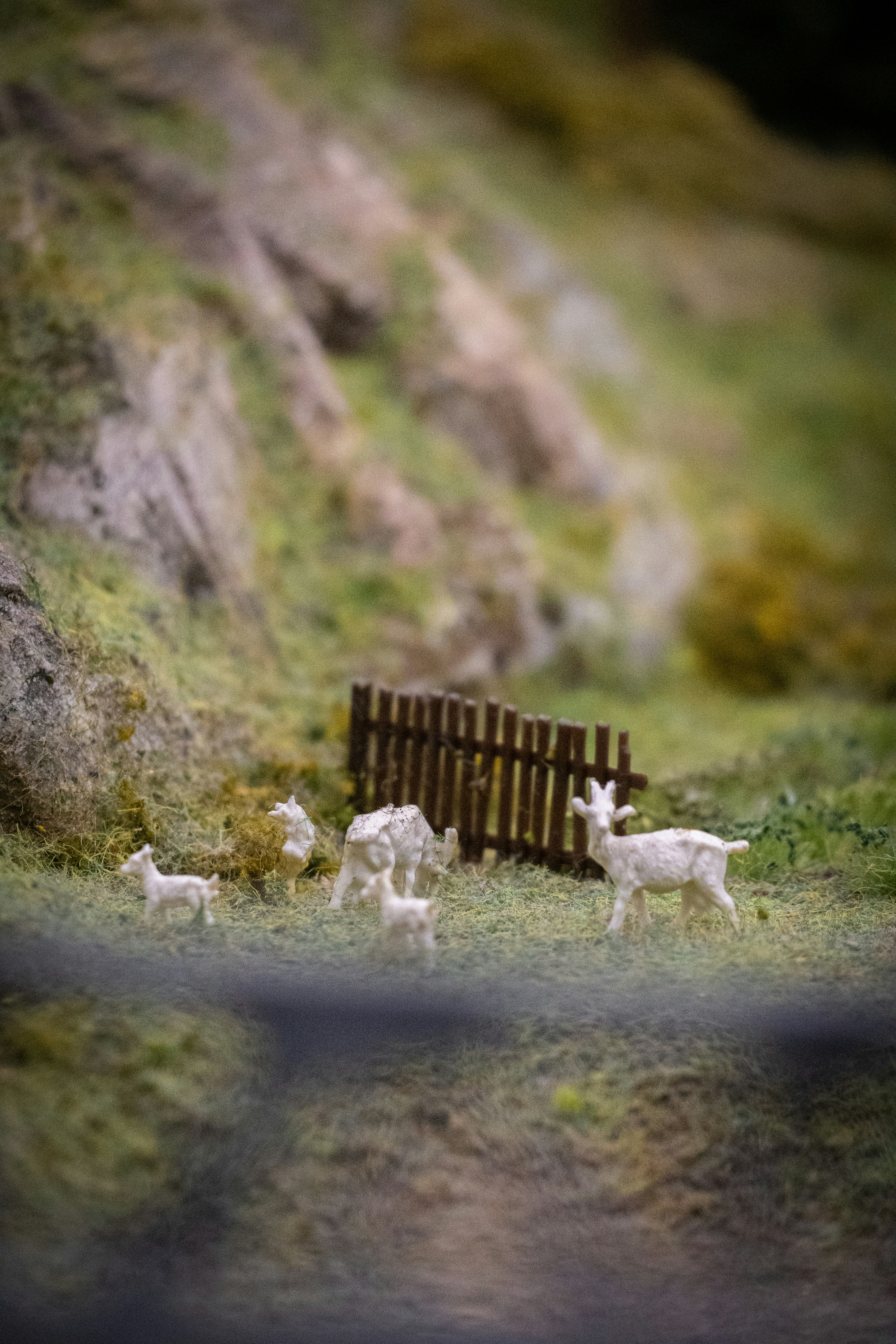 Tiny White Deer by Mossy Fence: a Quiet Miniature Meadow