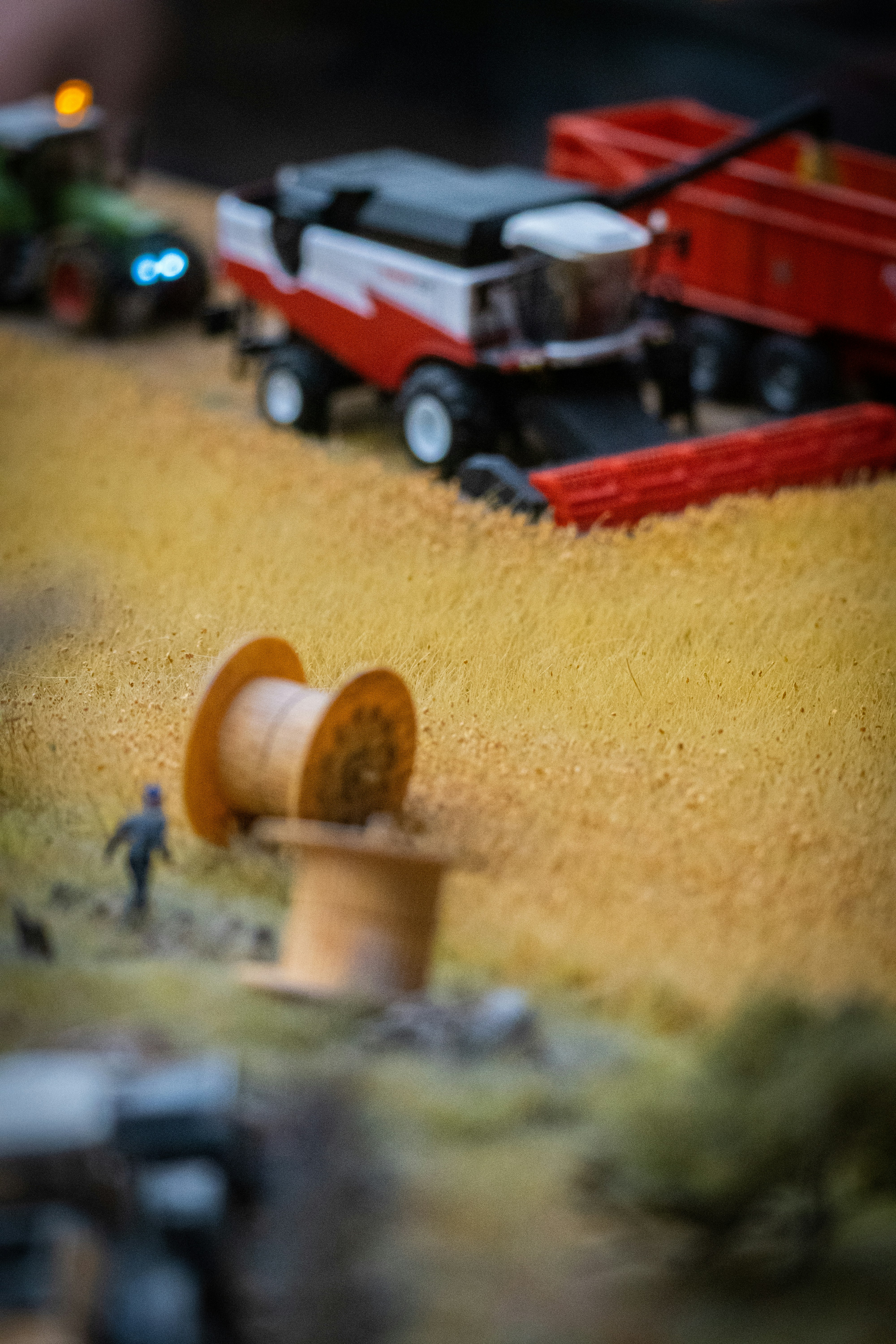 Spool in the Field: A Tiny Farm Shaped by Depth of Field