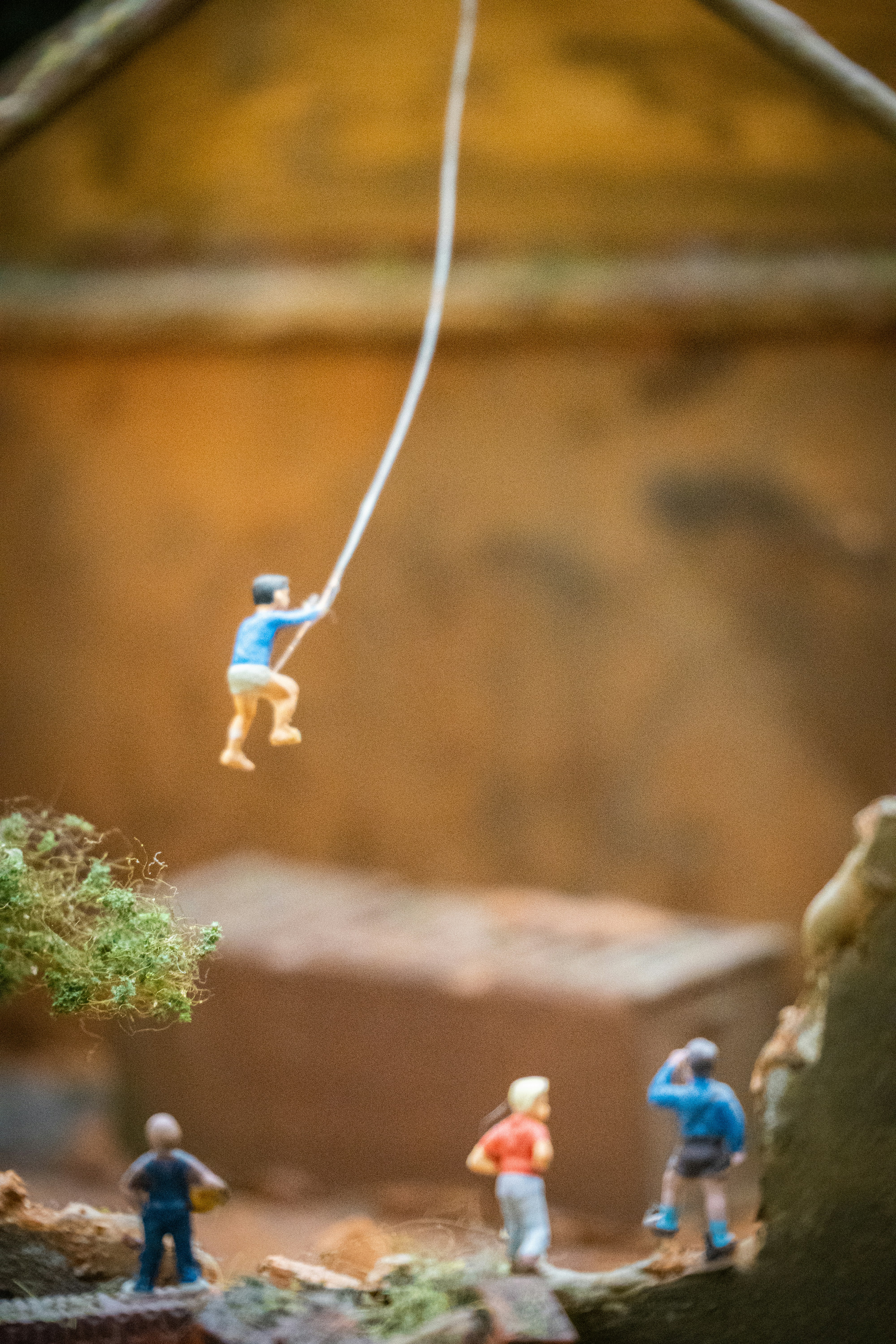 Tiny Swing, Grand Canyon: A Miniature Adventure in Soft Focus