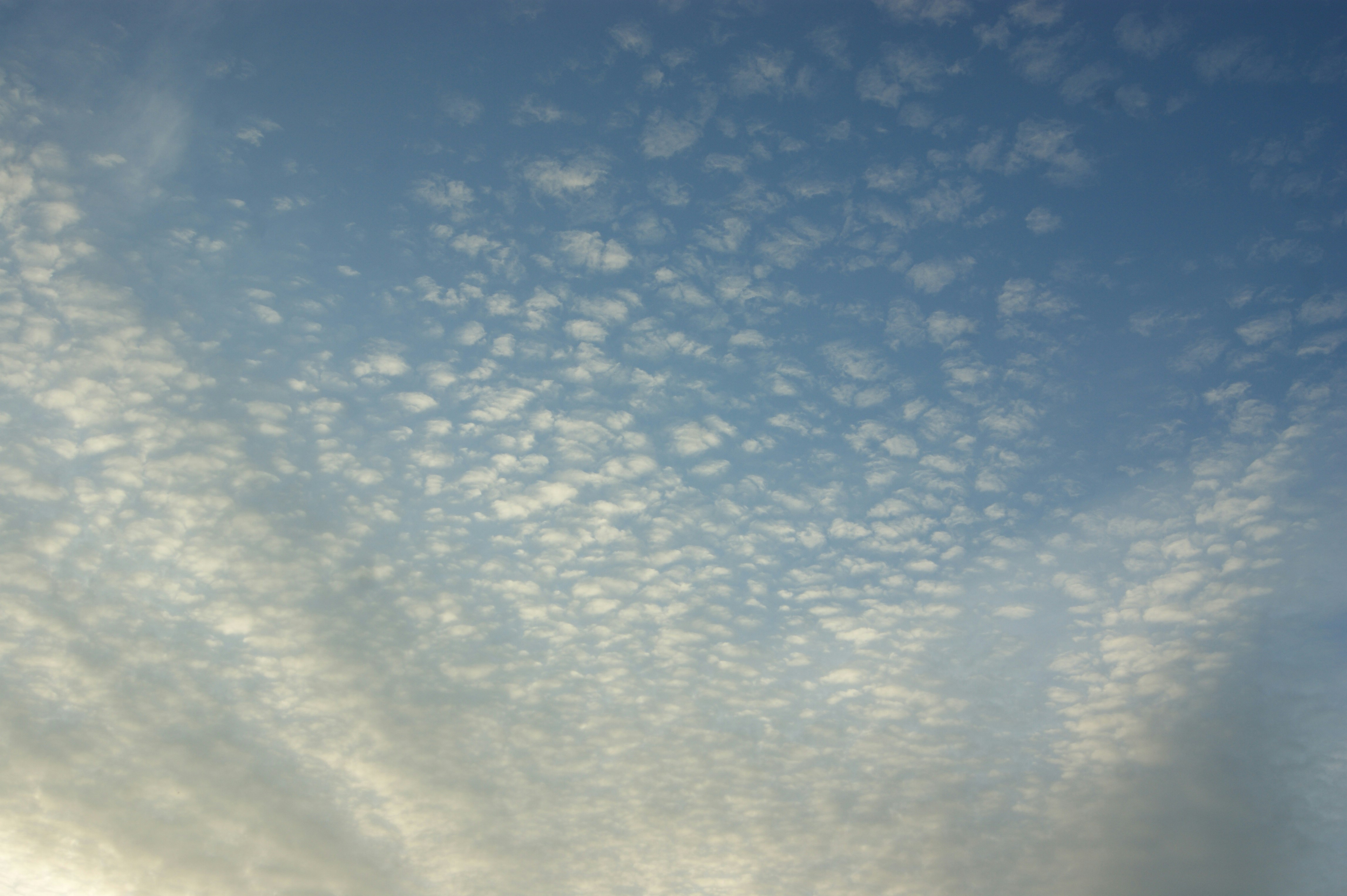 Sky filled with altocumulus clouds forming a quilt-like texture, with a warm glow along the lower horizon.