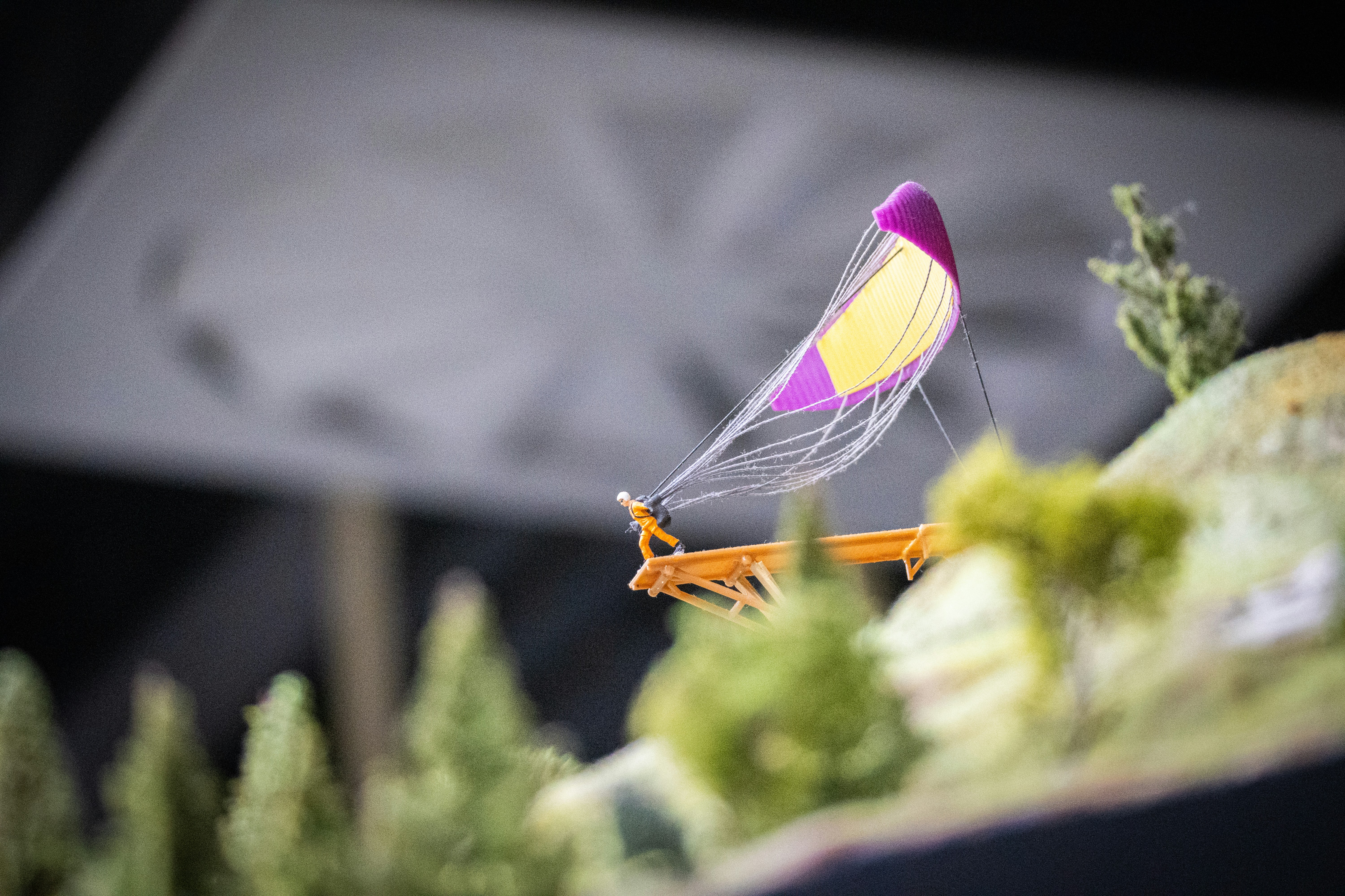 Miniature Kite on a Pine Twig: A Colorful Sail in a Softly Blurred Backdrop