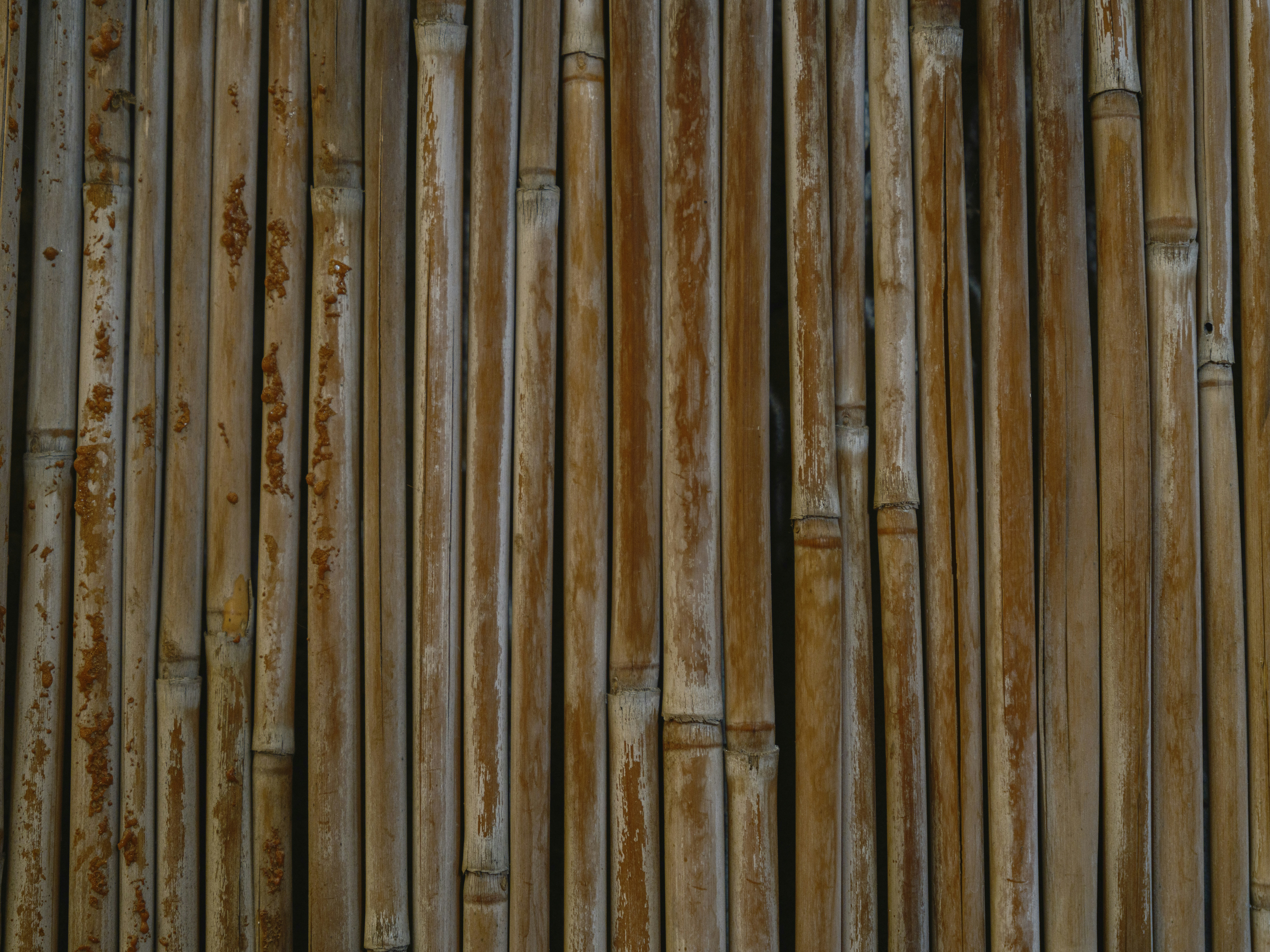 A close up of a bamboo fence with lots of rust photo – Free Background ...