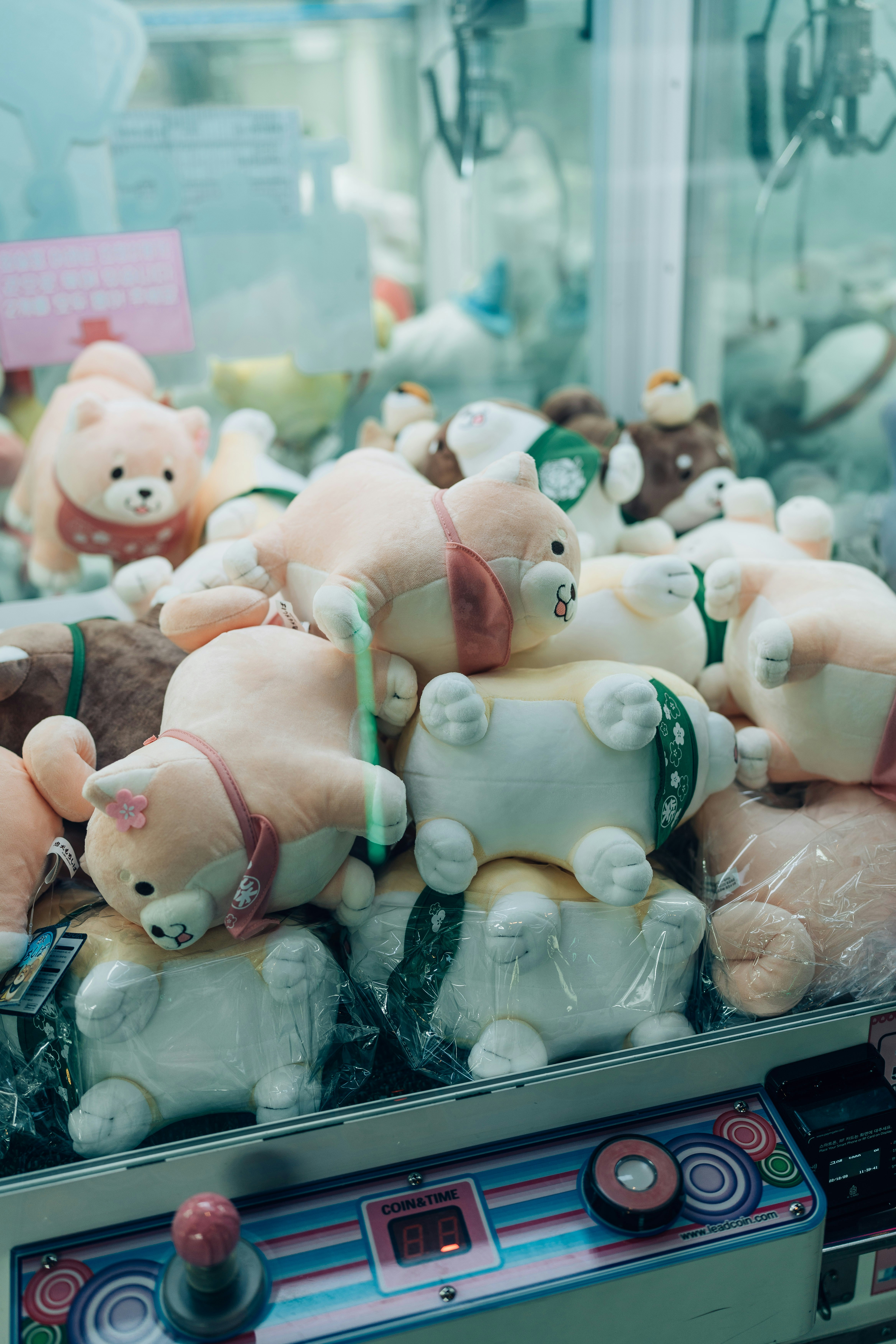 A vending machine filled with lots of stuffed animals photo – Free ...