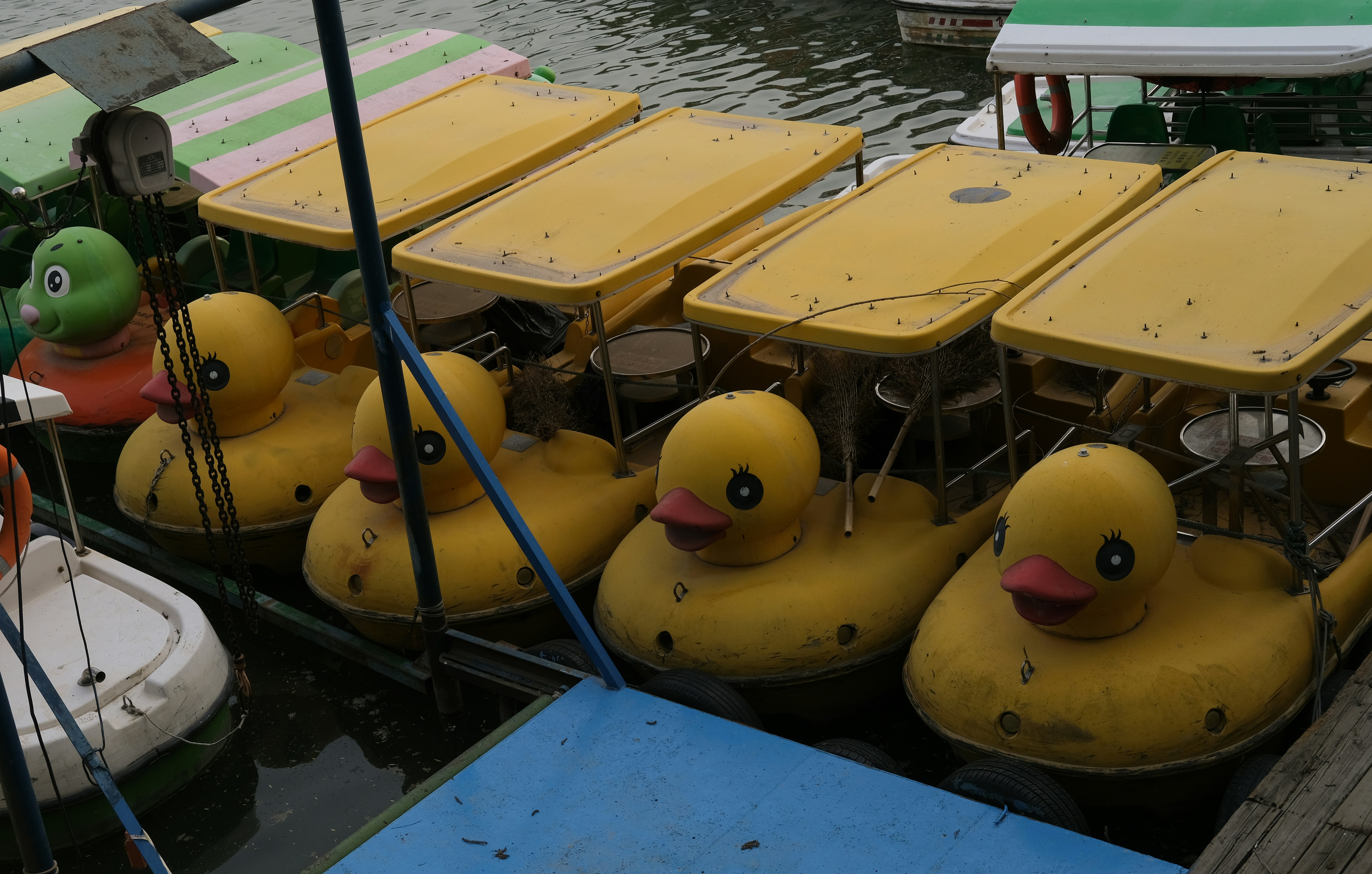Row of Yellow Duck Pedal Boats Docked Along a Quiet Marina