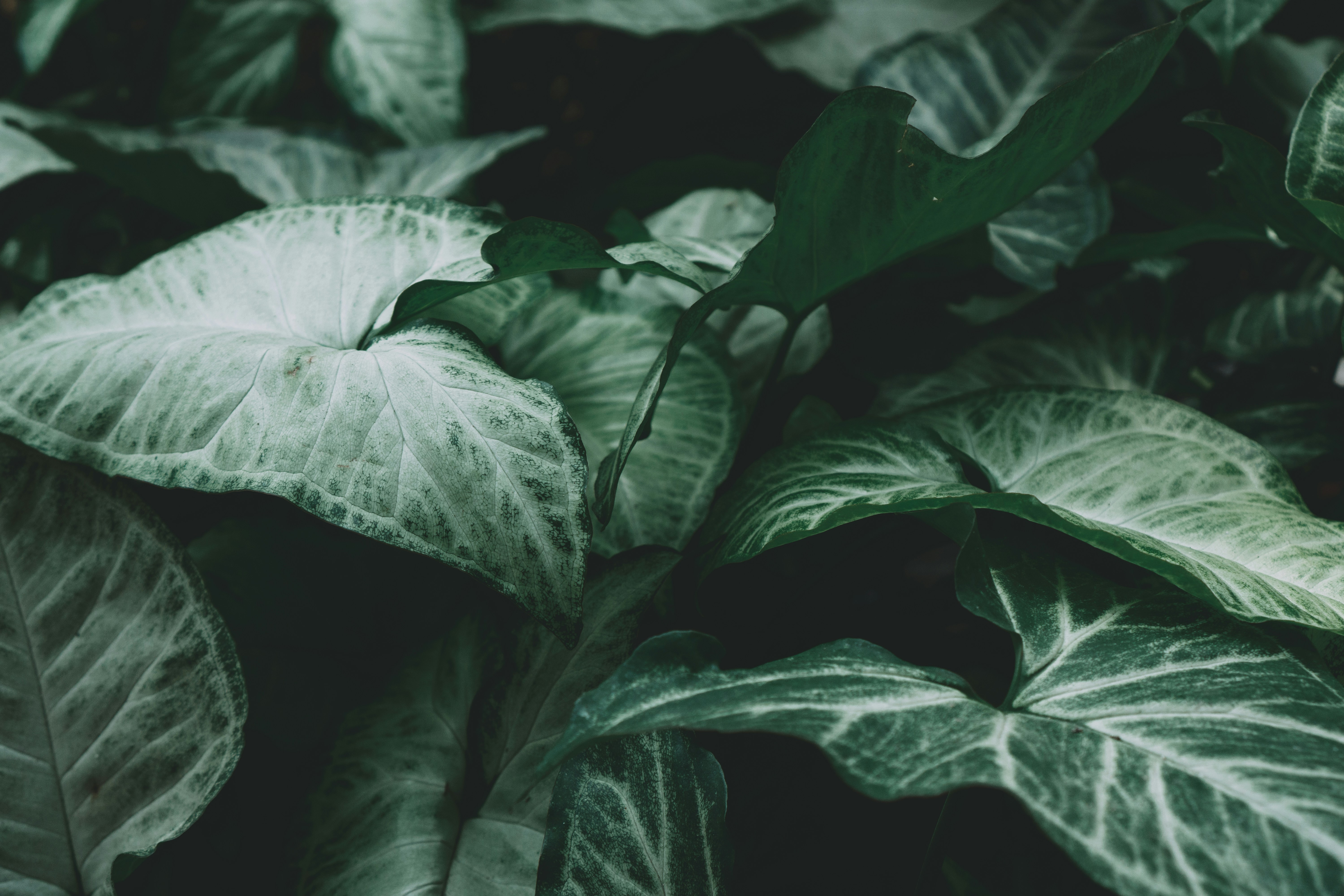 Photo by Zero with Sony Alpha 6000