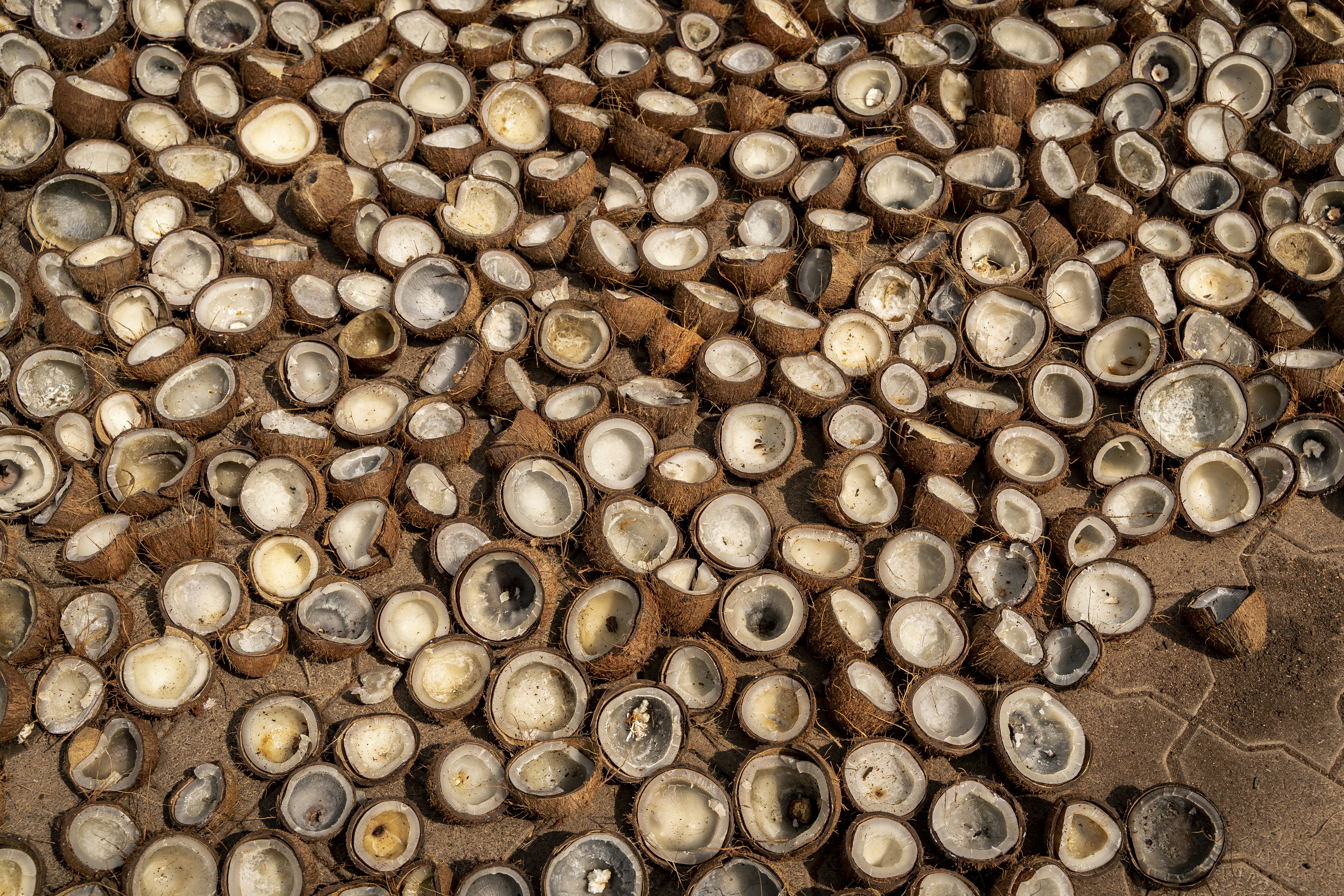 Copra production in India