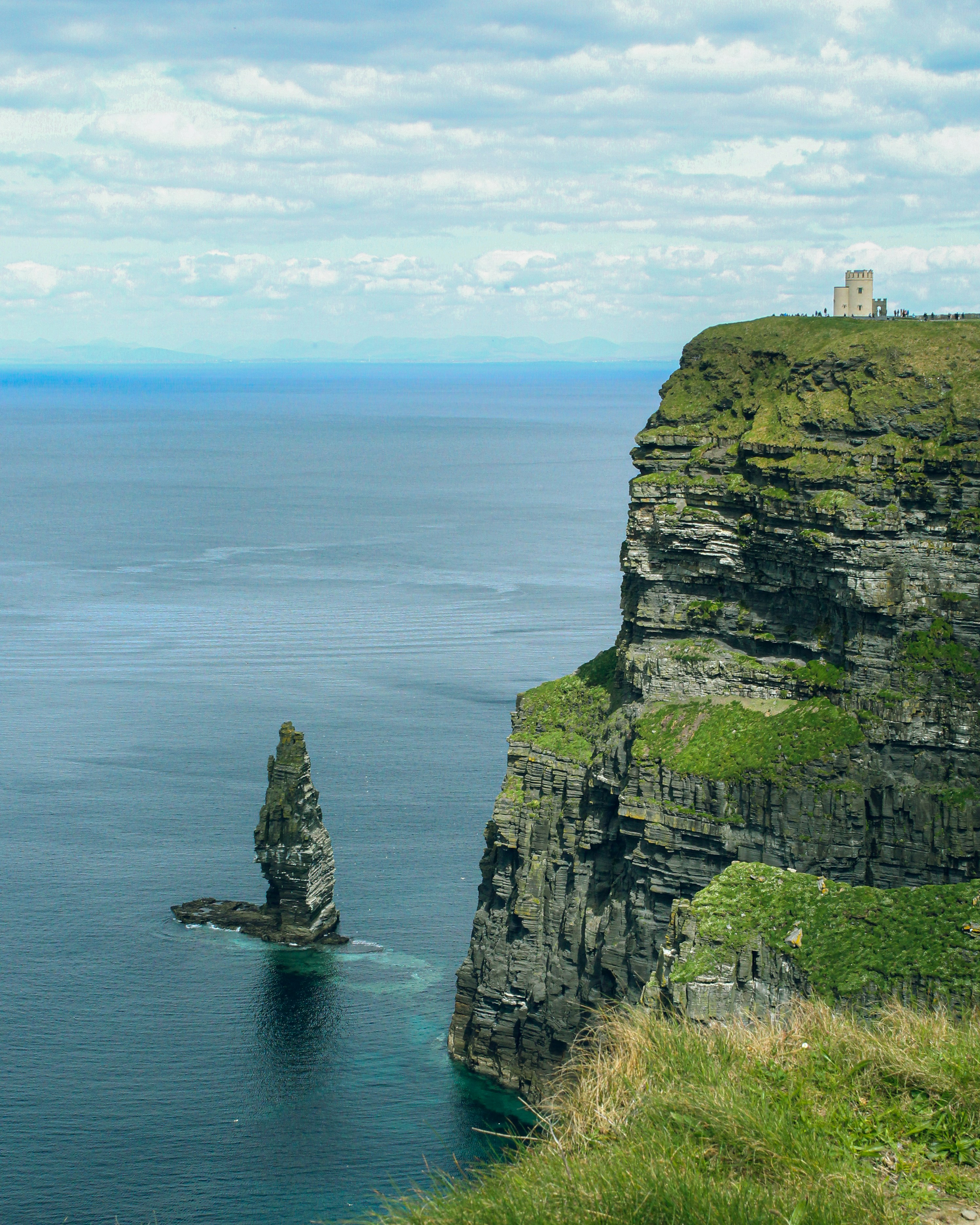 CLIFFS OF MOHER, IRELAND | a sheep standing on top of a lush green hillside