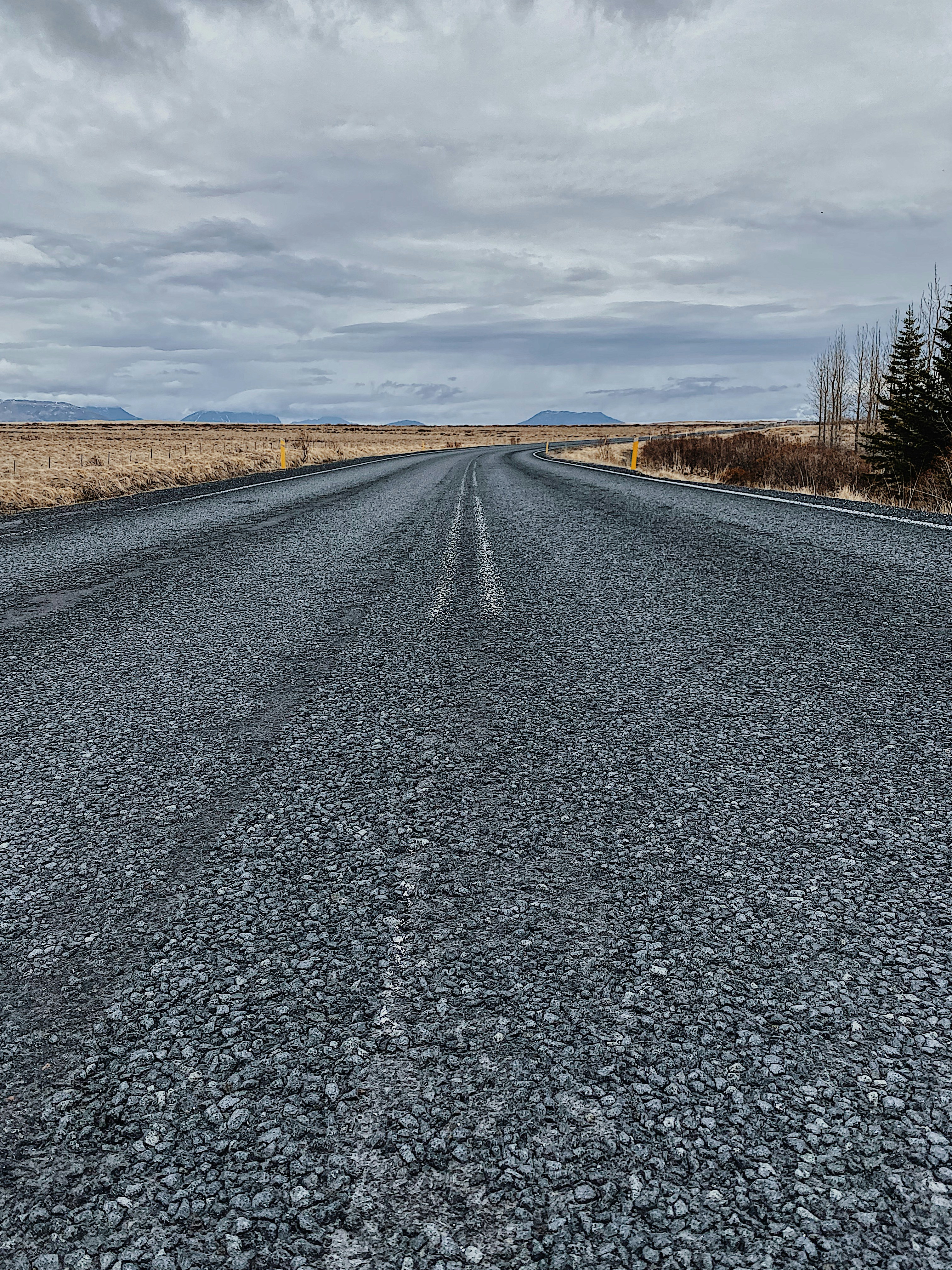 Vanishing Line: A Road to the Quiet Prairie Horizon