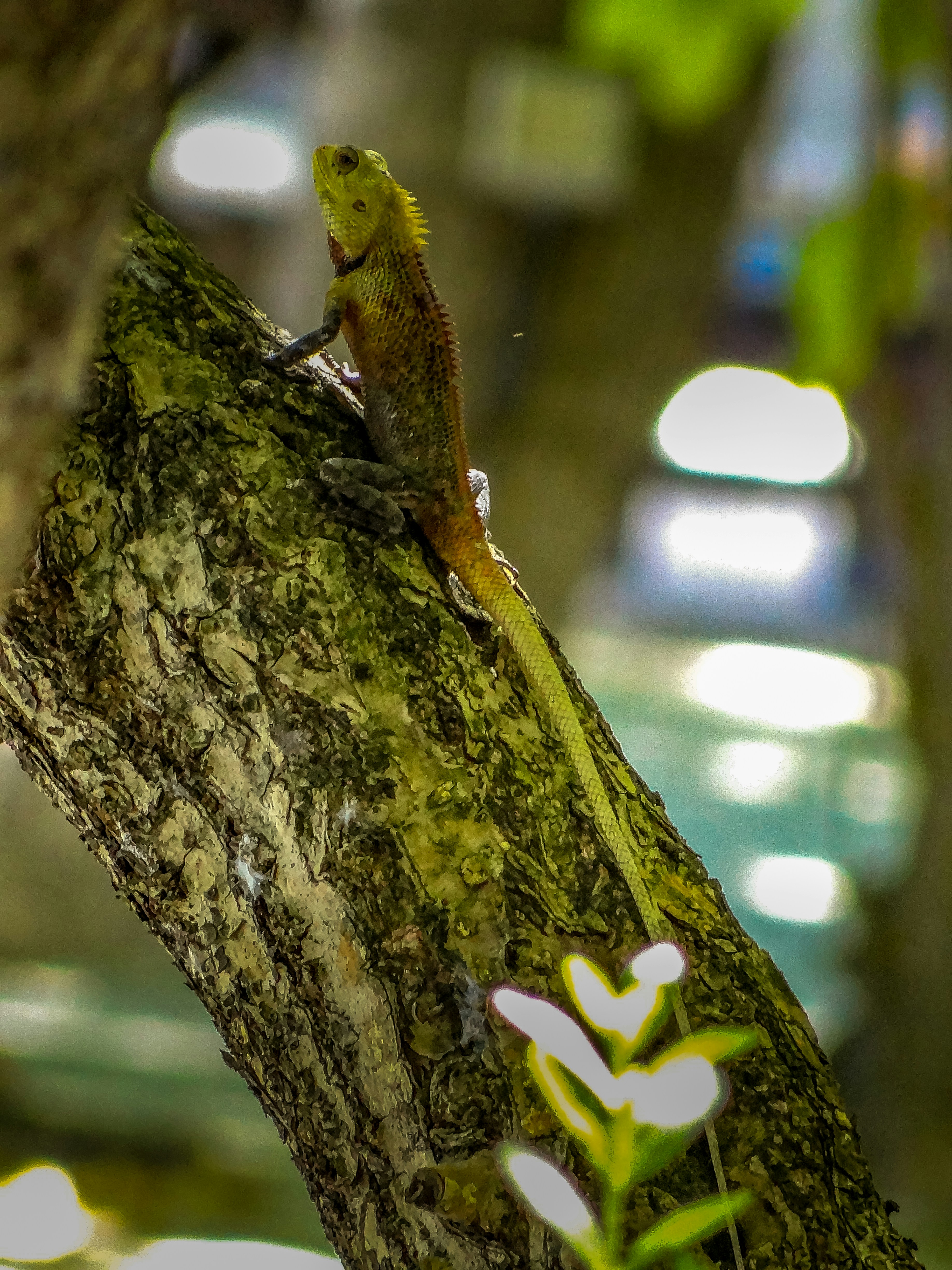 Photo by Lidia Stawinska with Sony Cyber-shot HX200V