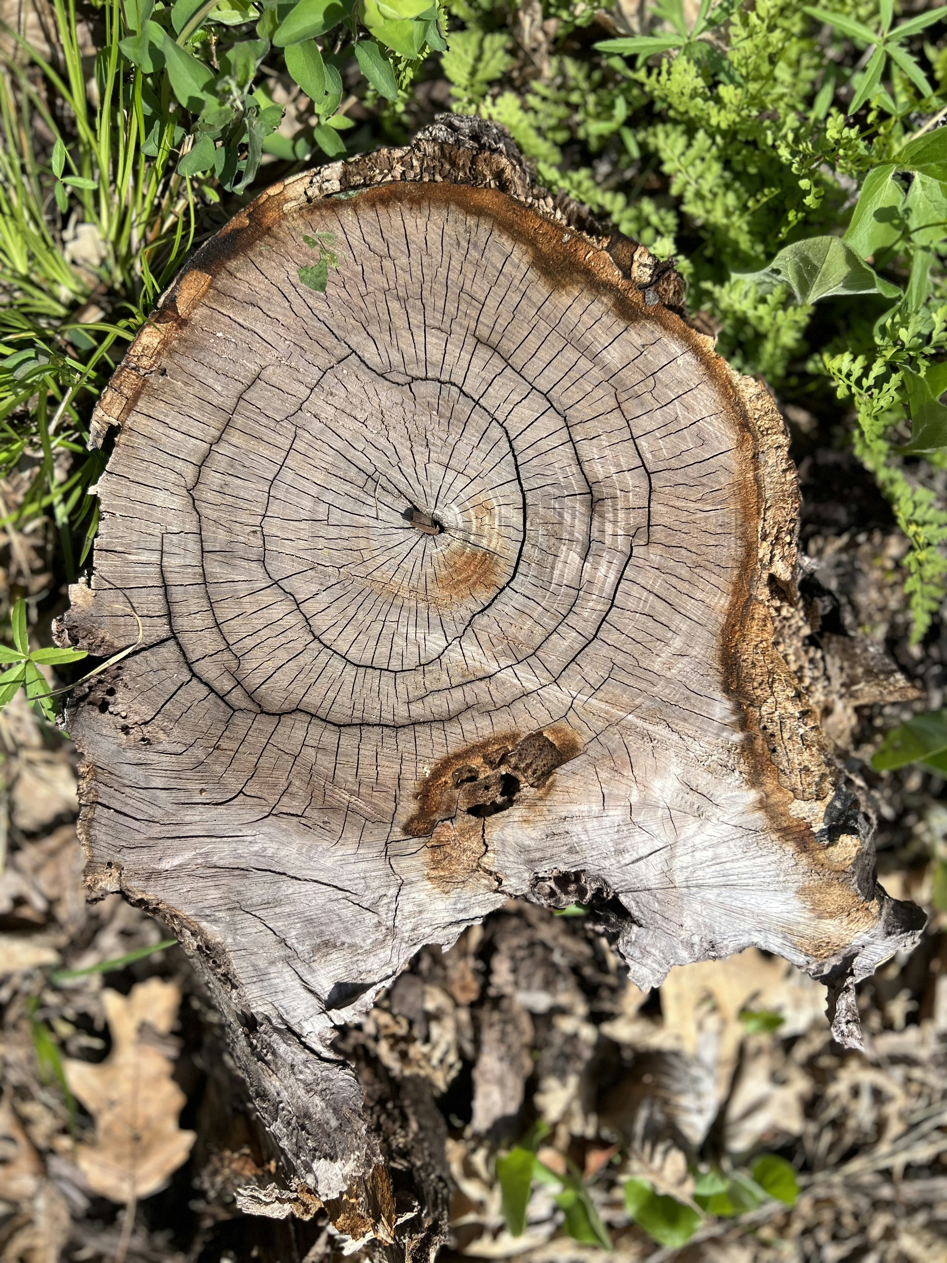 Photo by Billy Moss with Apple iPhone 13 Pro Max