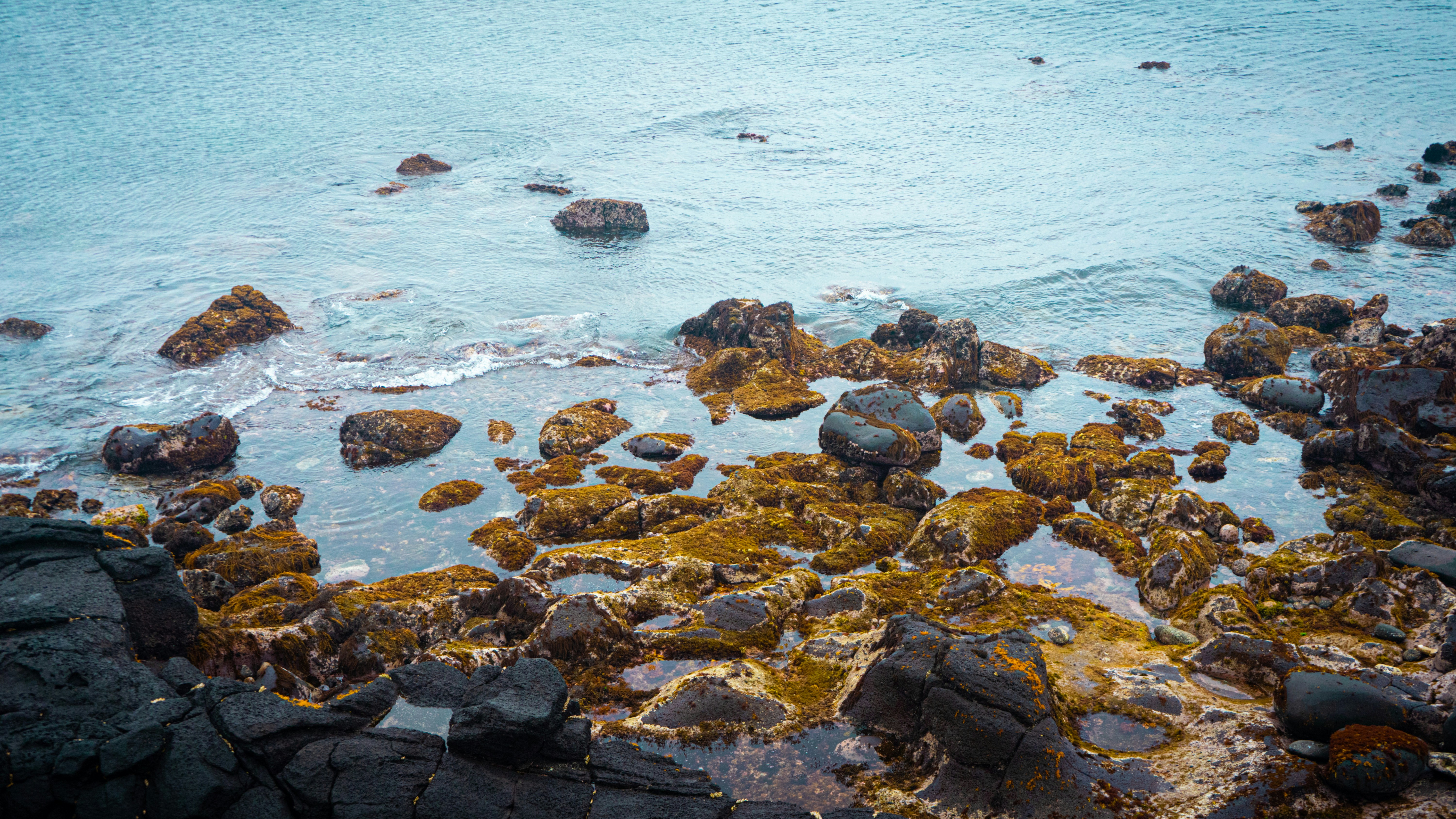 A body of water surrounded by rocks and algae photo – Free South korea ...