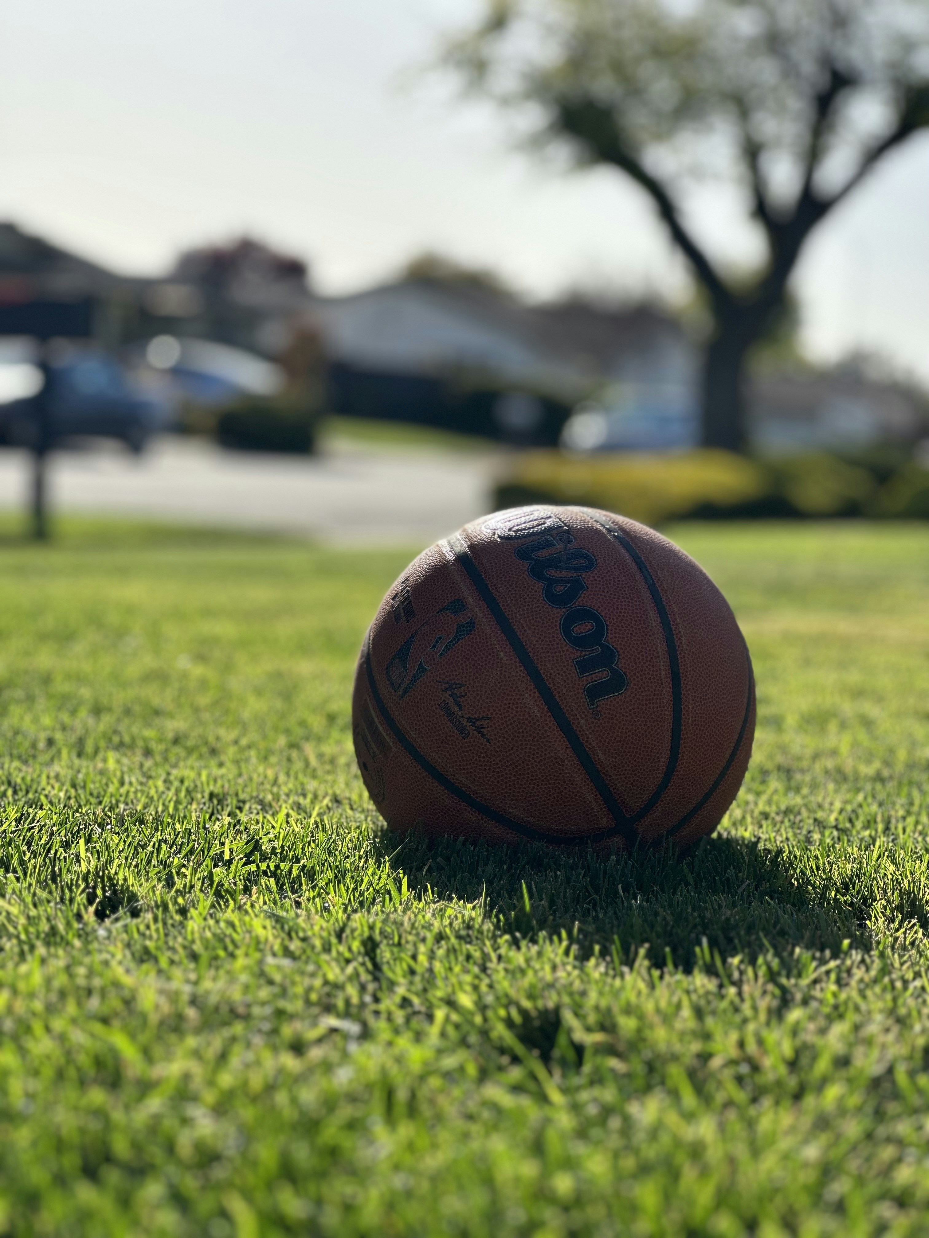 Basketball Field Pictures | Download Free Images on Unsplash