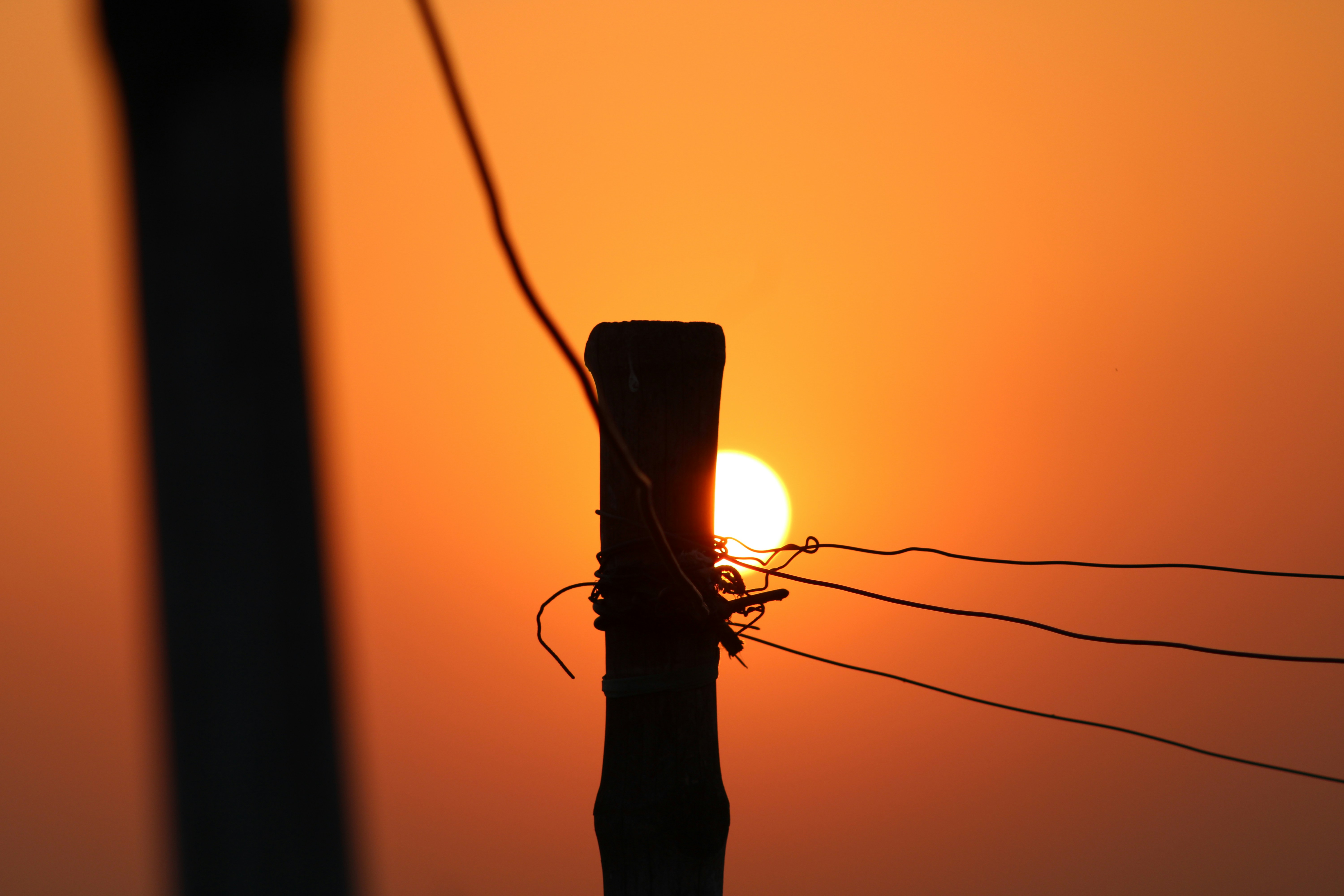 Sunset Silhouette: A Fence Post Framed by Dusk