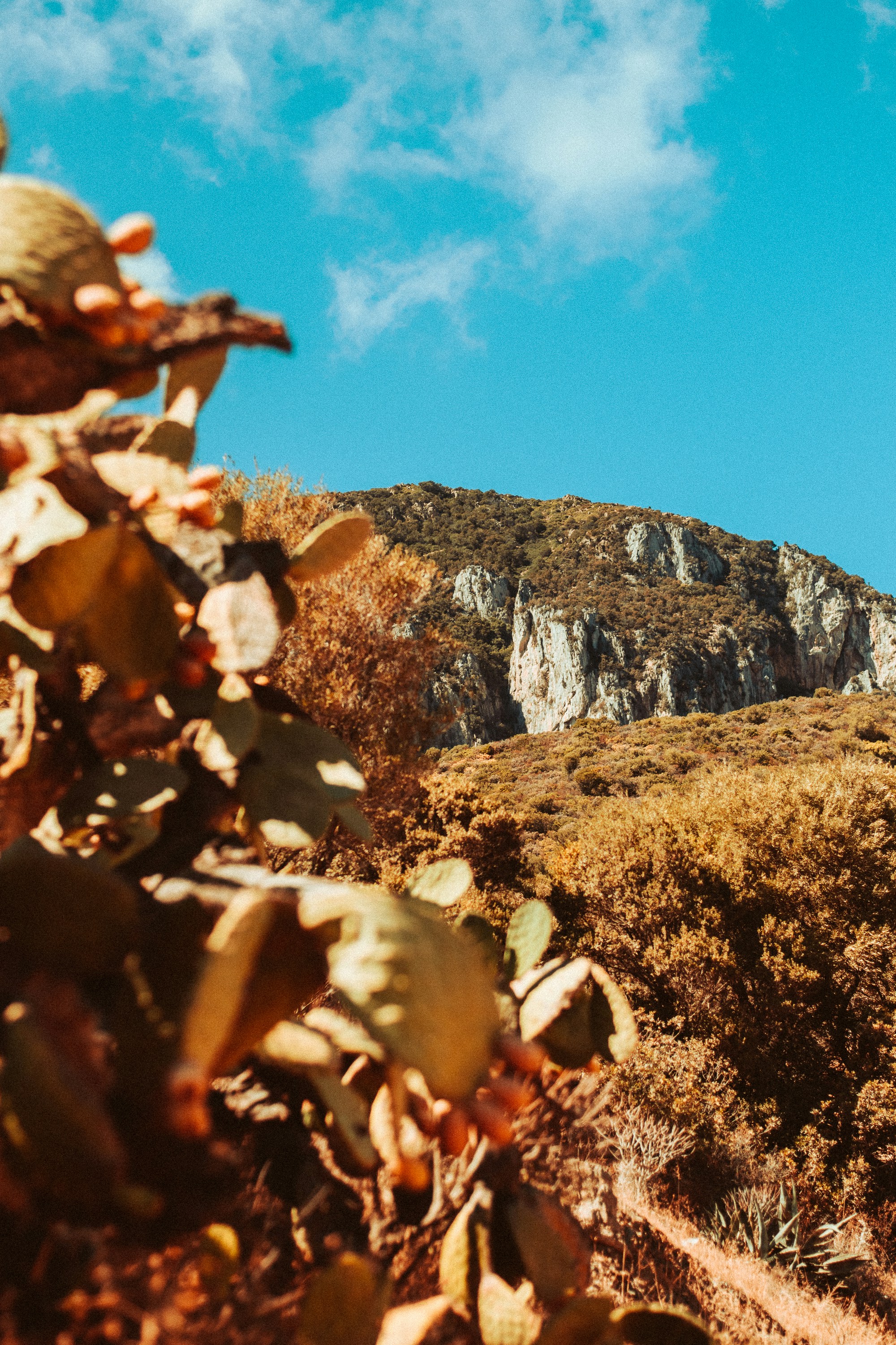 mountain in sardegna