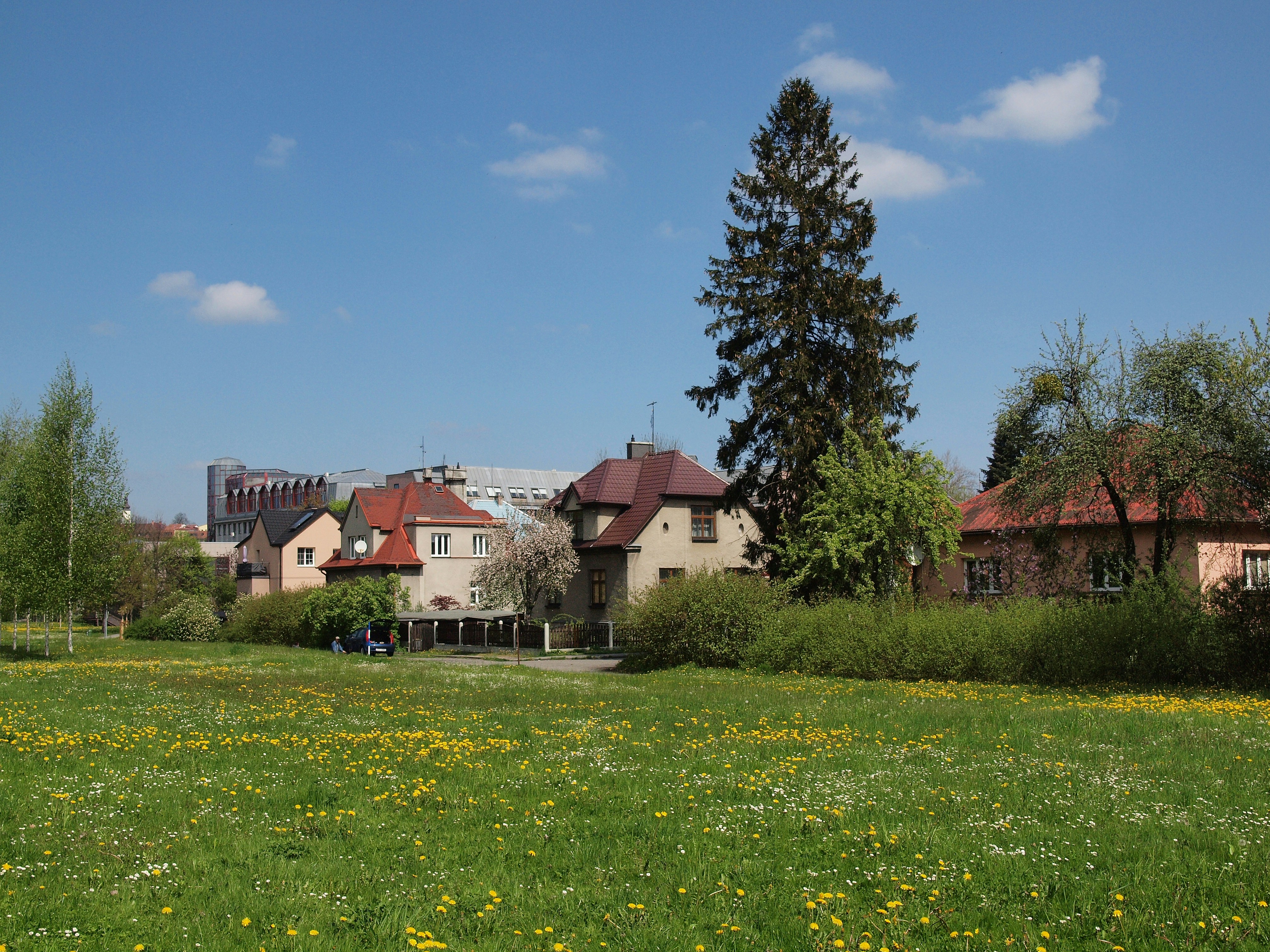 Charming houses nestled behind a lush meadow under a bright blue sky.