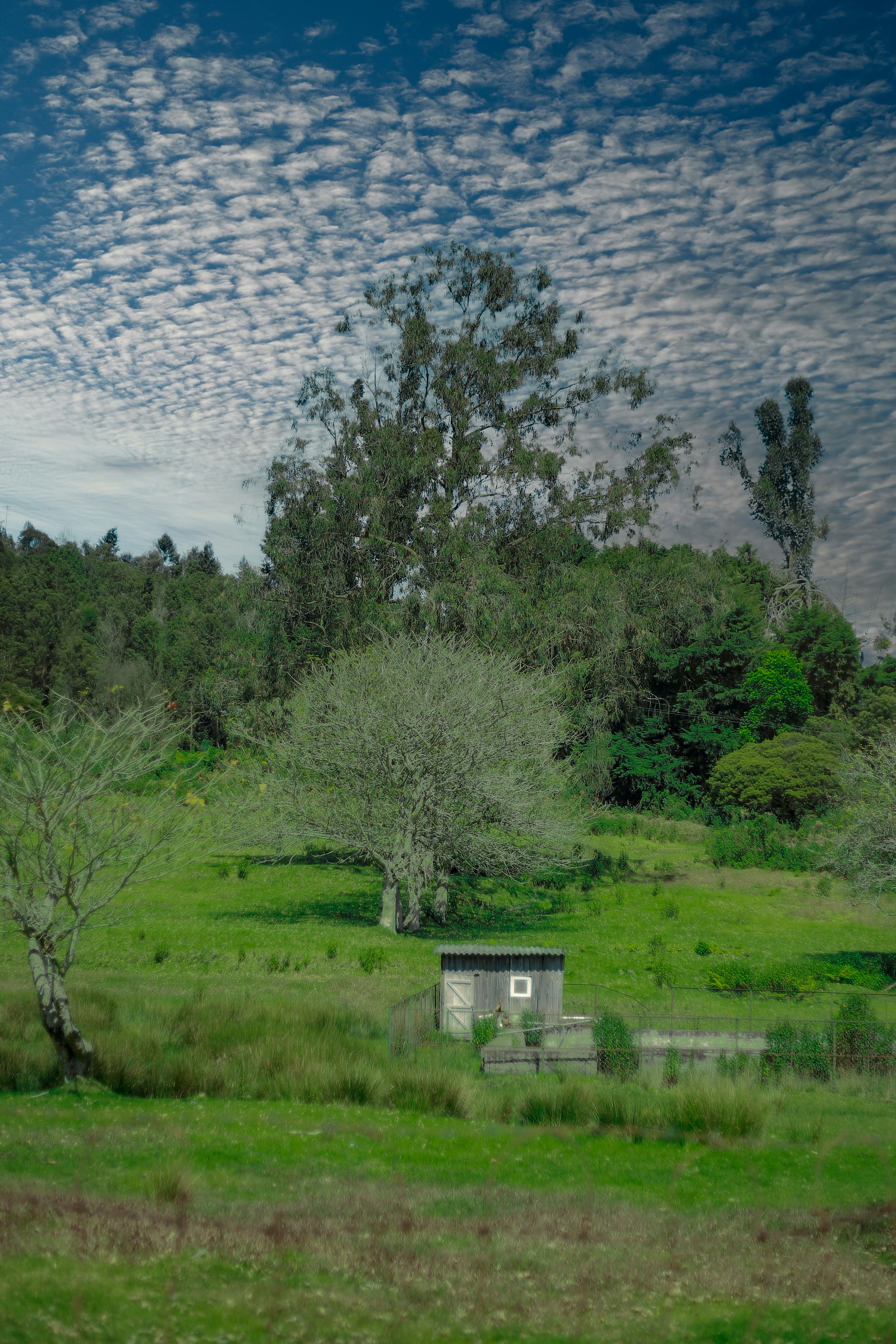 A green field with trees and a building photo – Free Kodaikanal Image ...