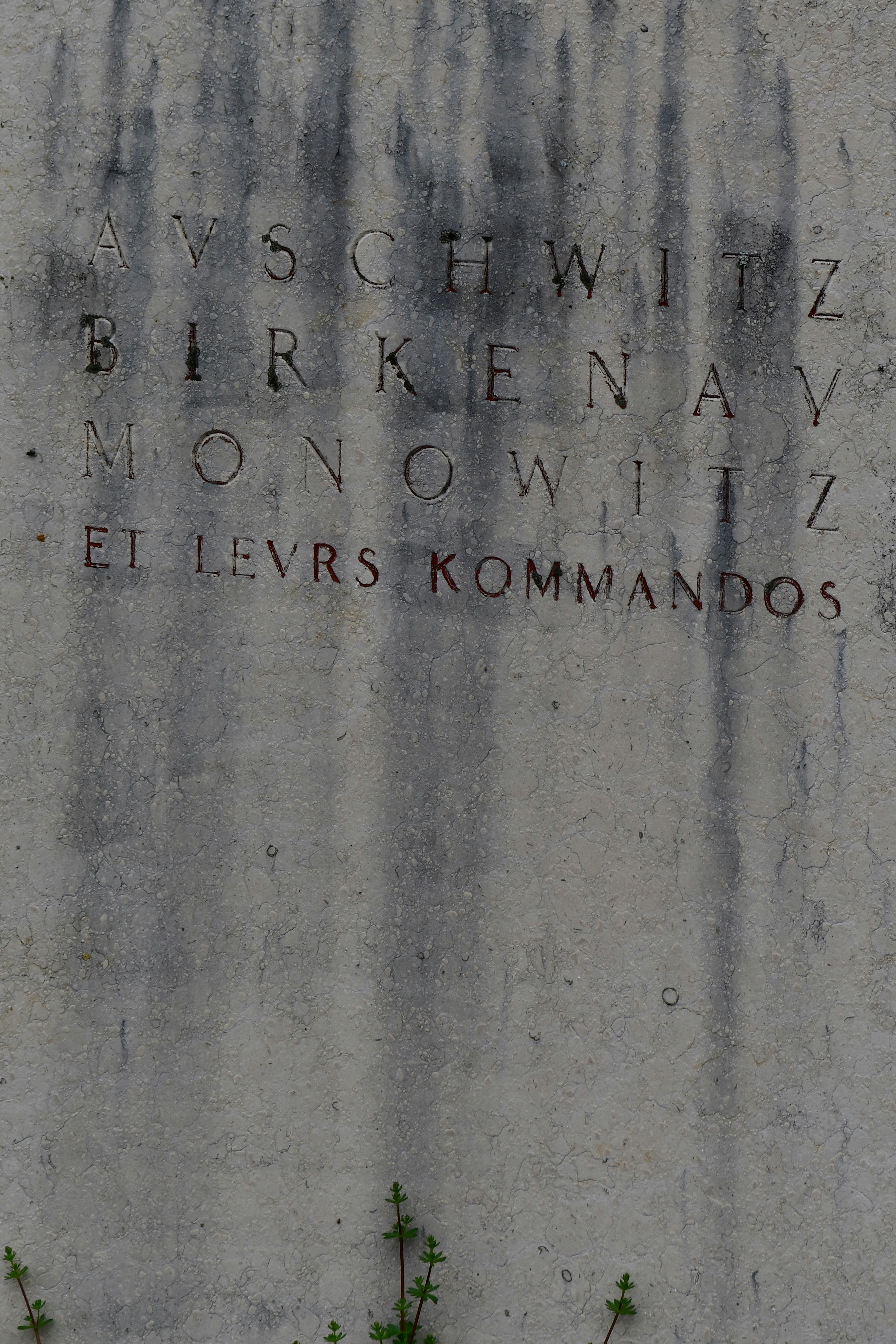 A cement wall with writing on it photo – Free Plant Image on Unsplash