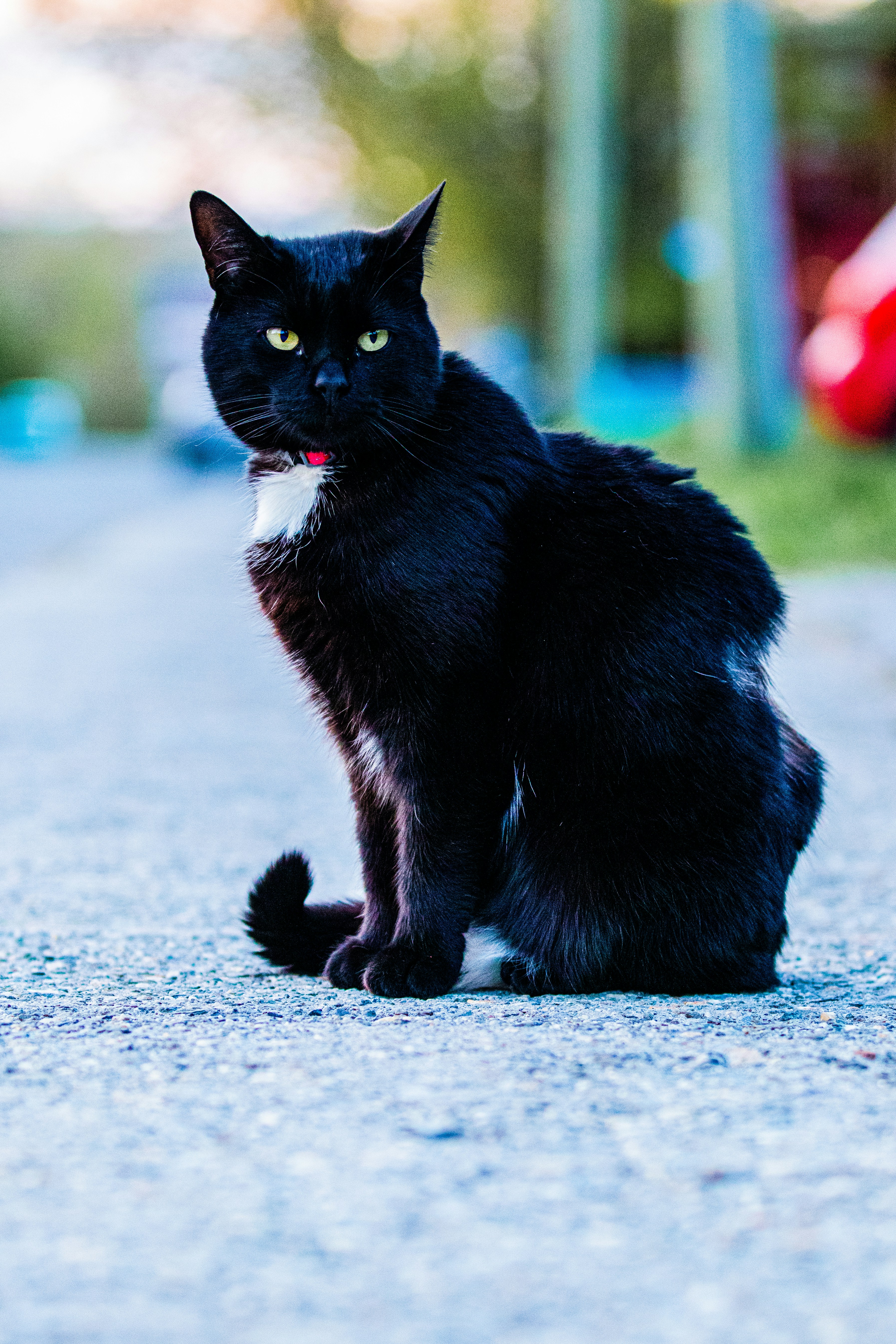 Noir Gaze on a Quiet Lane
