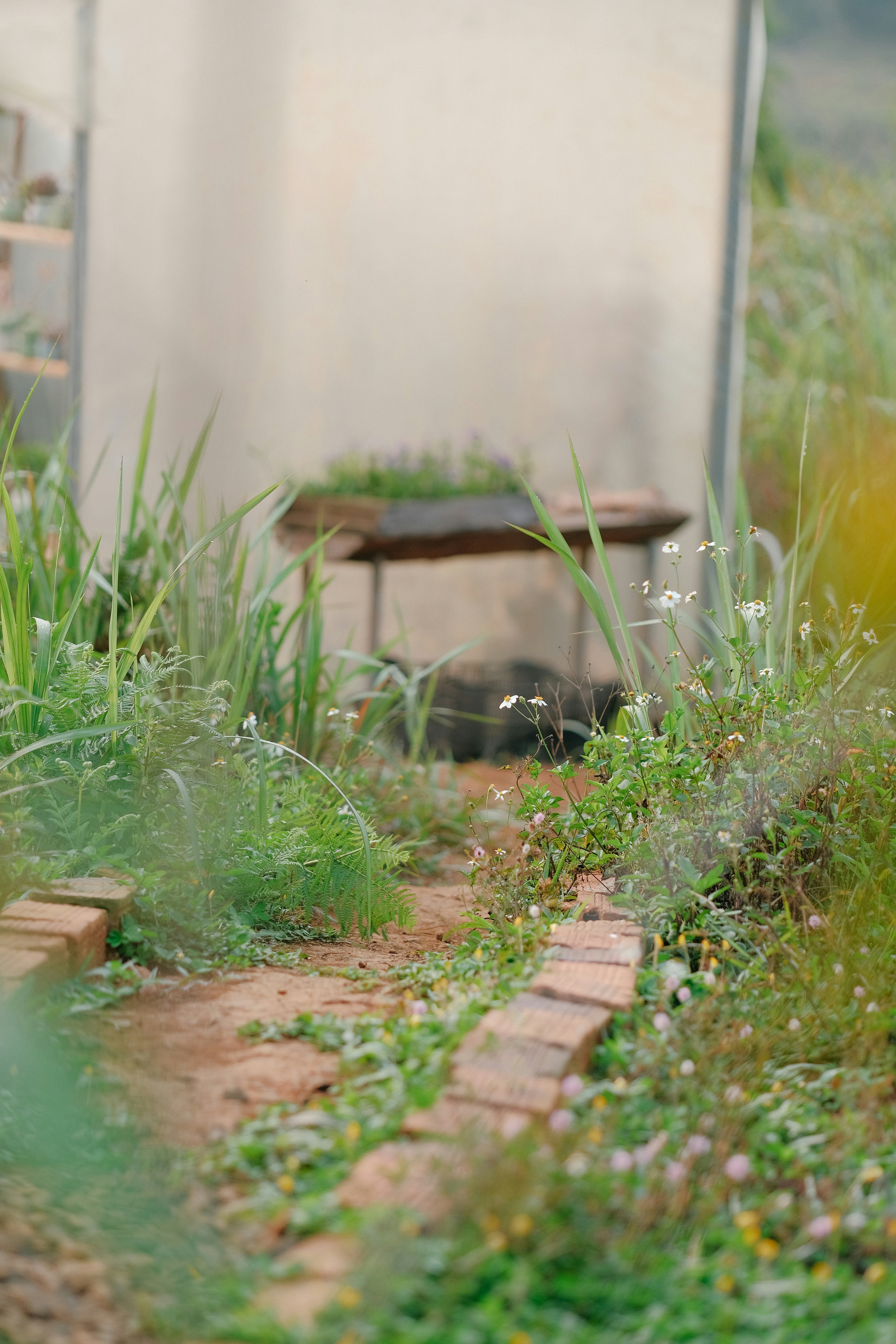 Photo by Pew Nguyen with Fujifilm X-T30