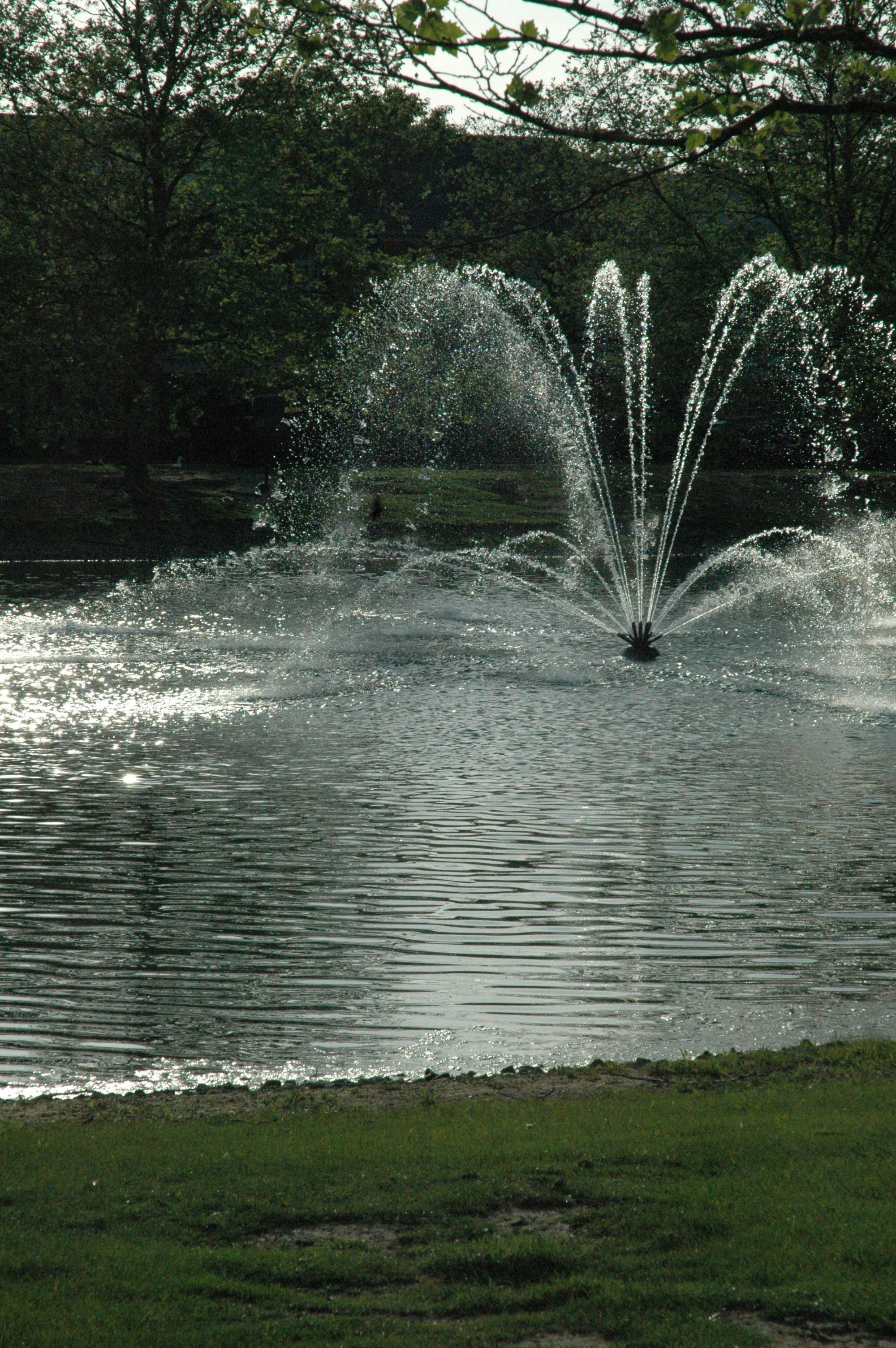 A large pond with a bunch of water spewing out of it photo – Free ...