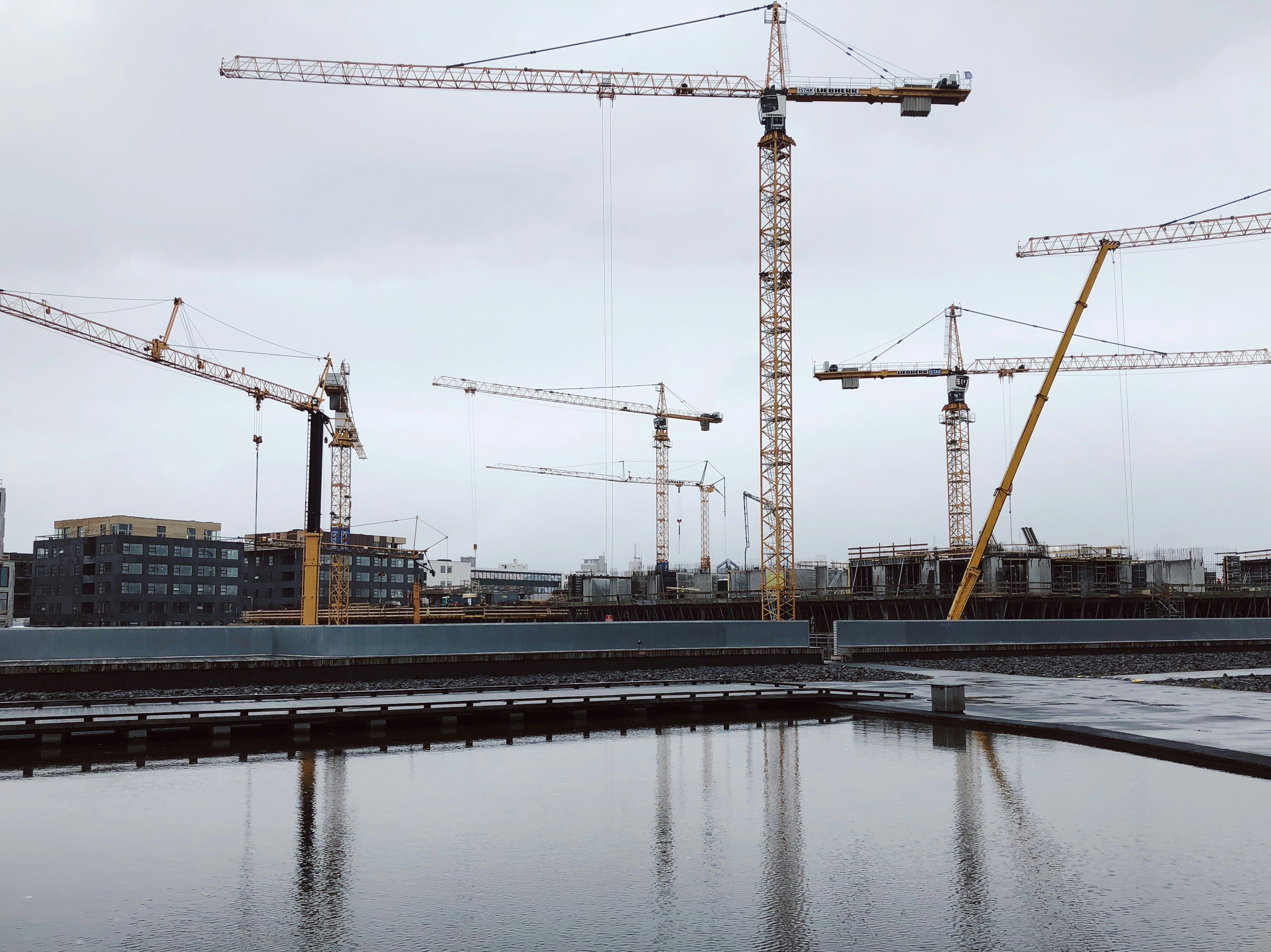 A group of cranes that are next to a body of water photo – Free ...