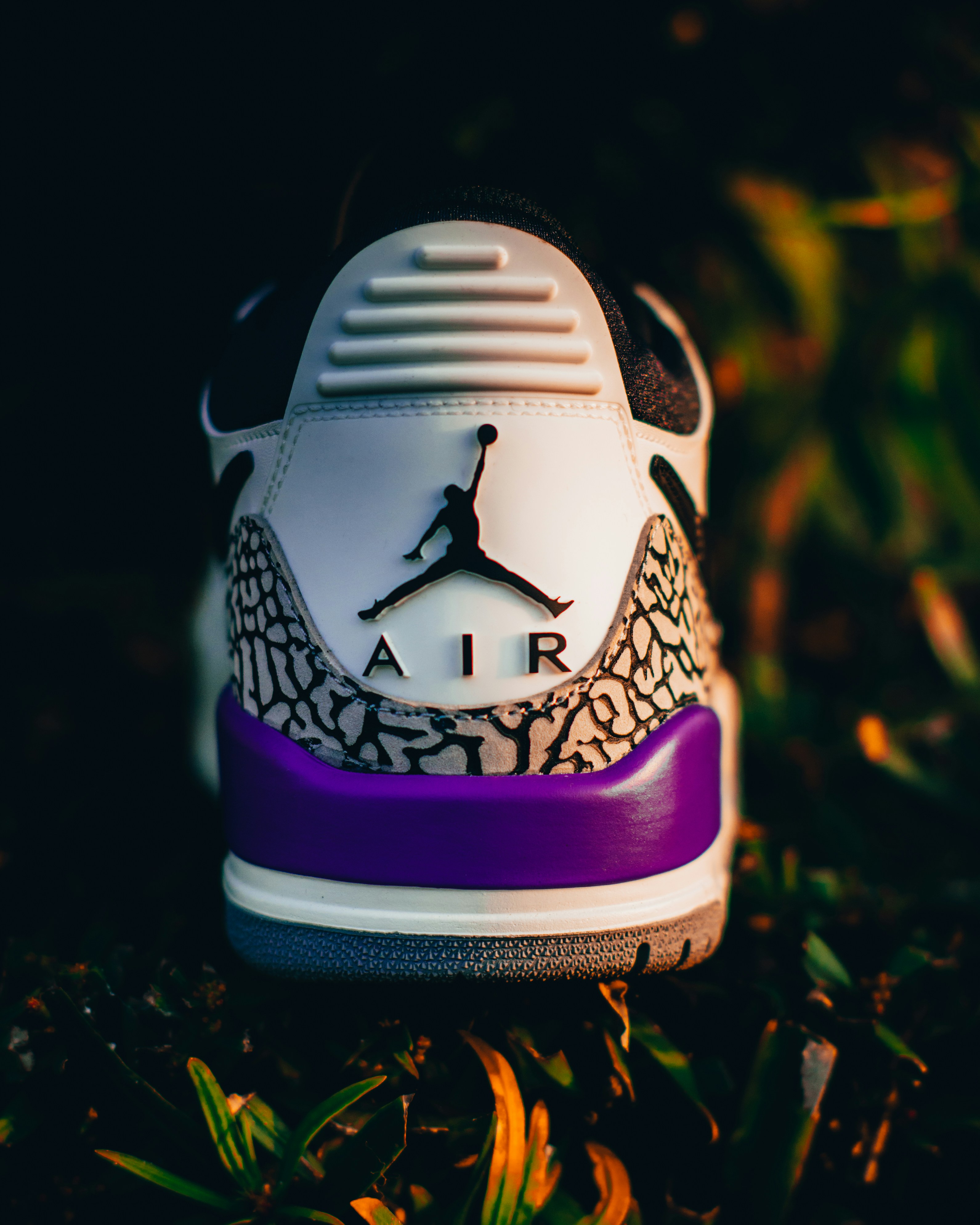 Air on the Heel: A Close-Up Portrait of Jordan's Elephant Print