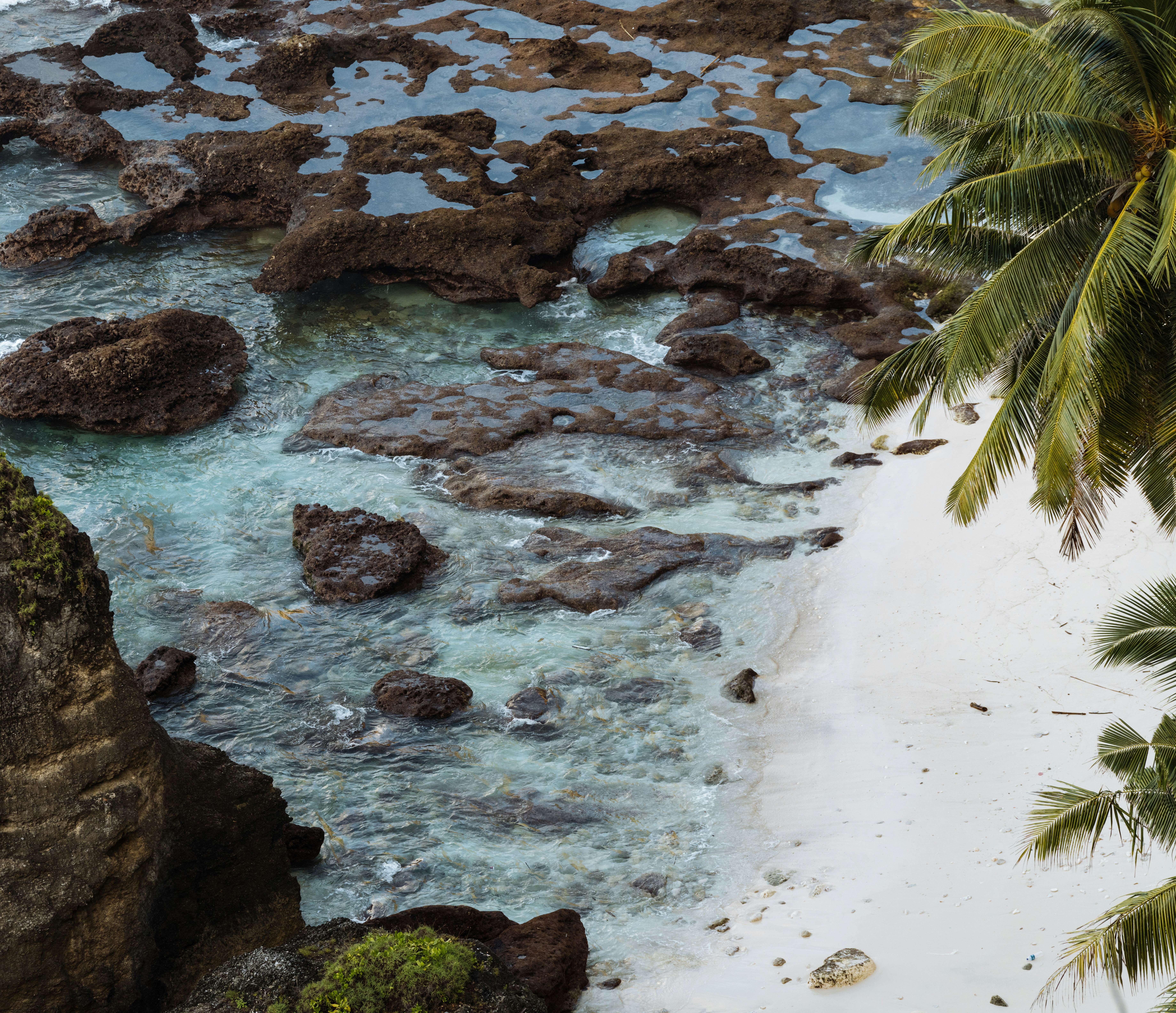 Sunlit tropical shoreline with white sand, turquoise water, and dark volcanic rocks; palm fronds frame the coast.