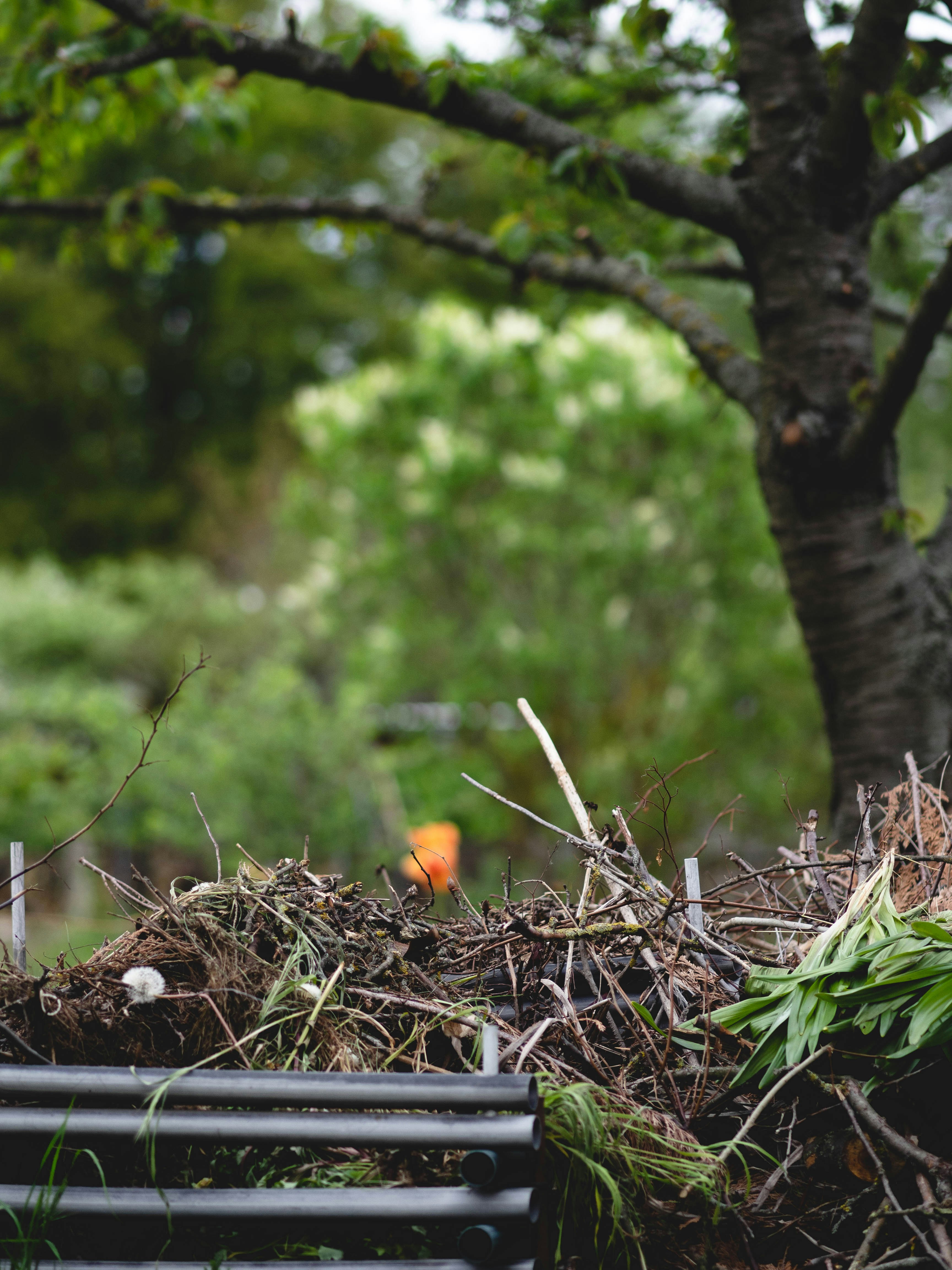A pile of trash sitting next to a tree photo – Free Slowlife Image on ...