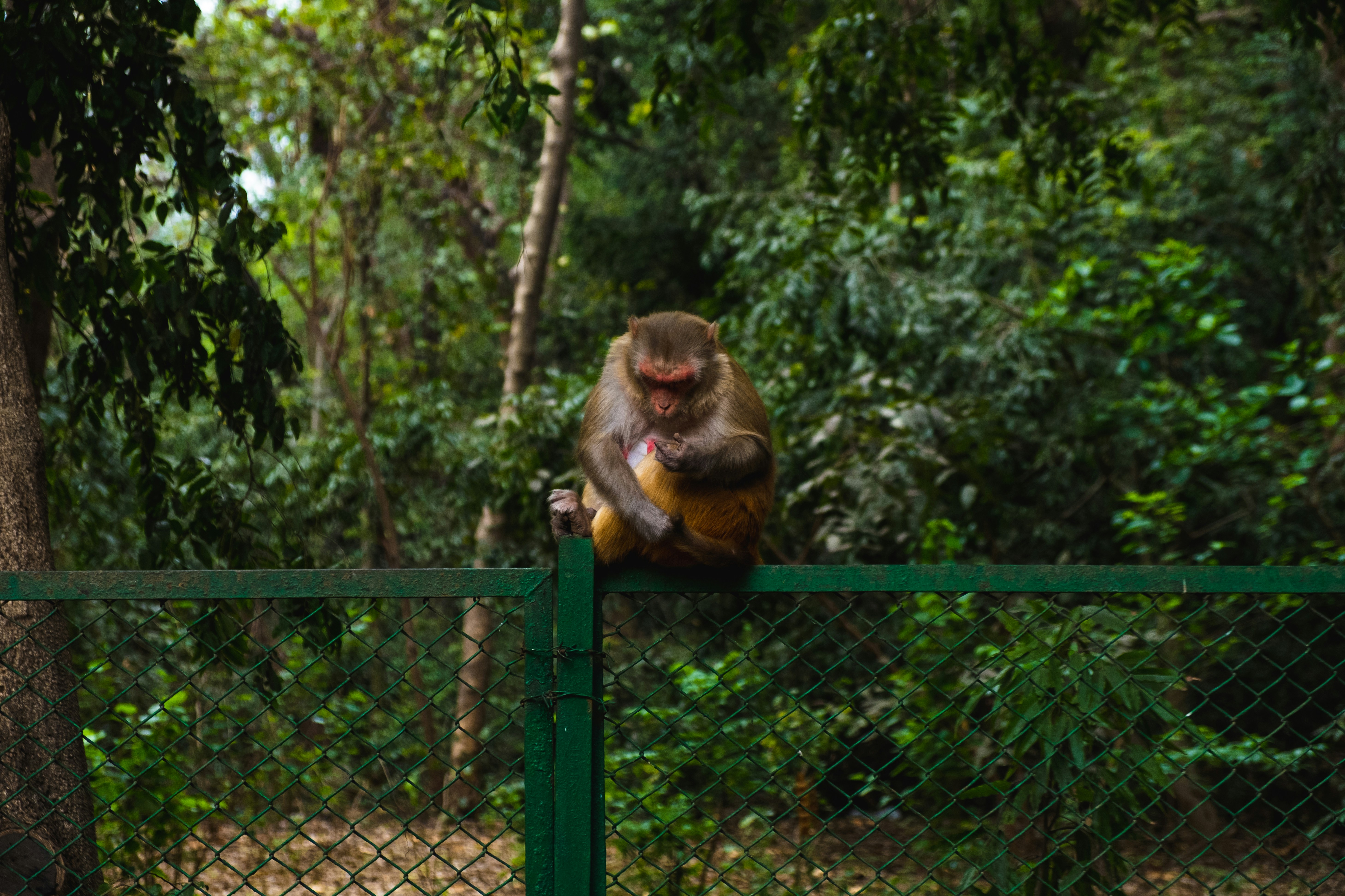 Photo by Sepehr Sajjadieh with Fujifilm X-T2