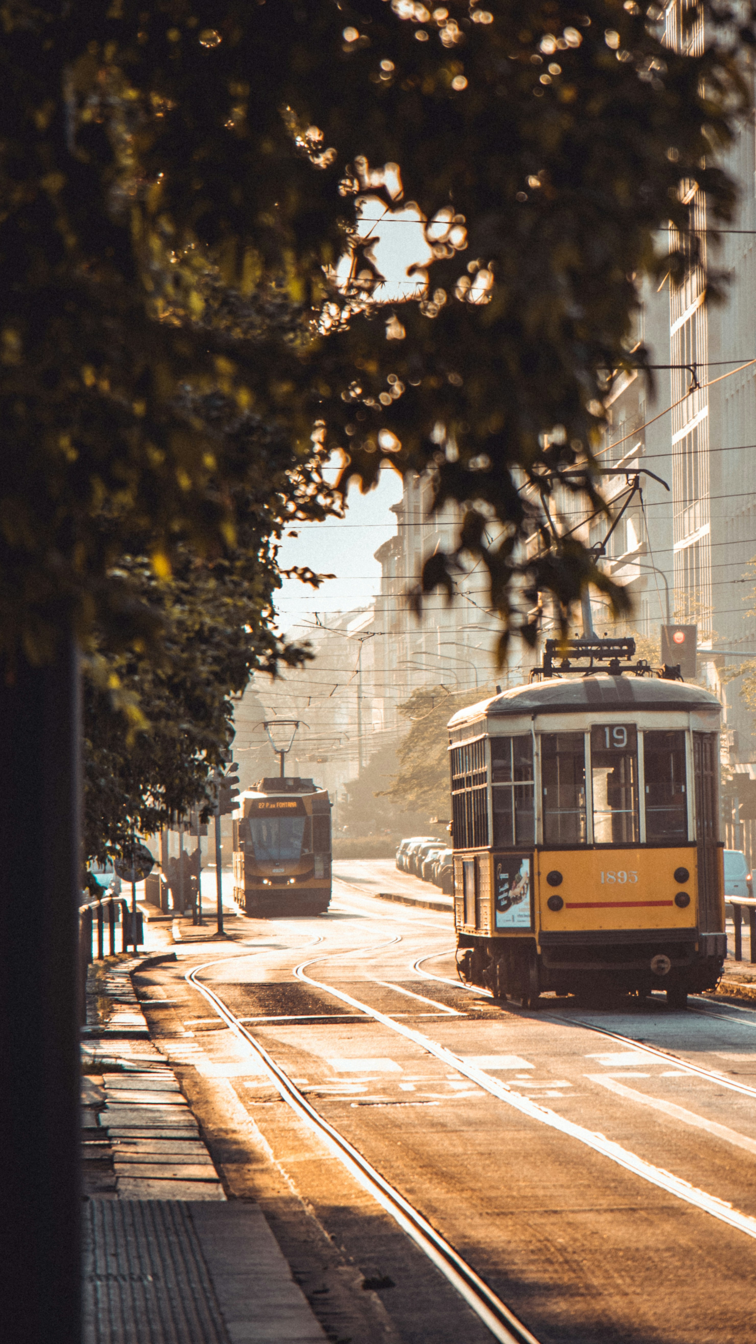 Two trolleys on a city street with buildings in the background photo ...