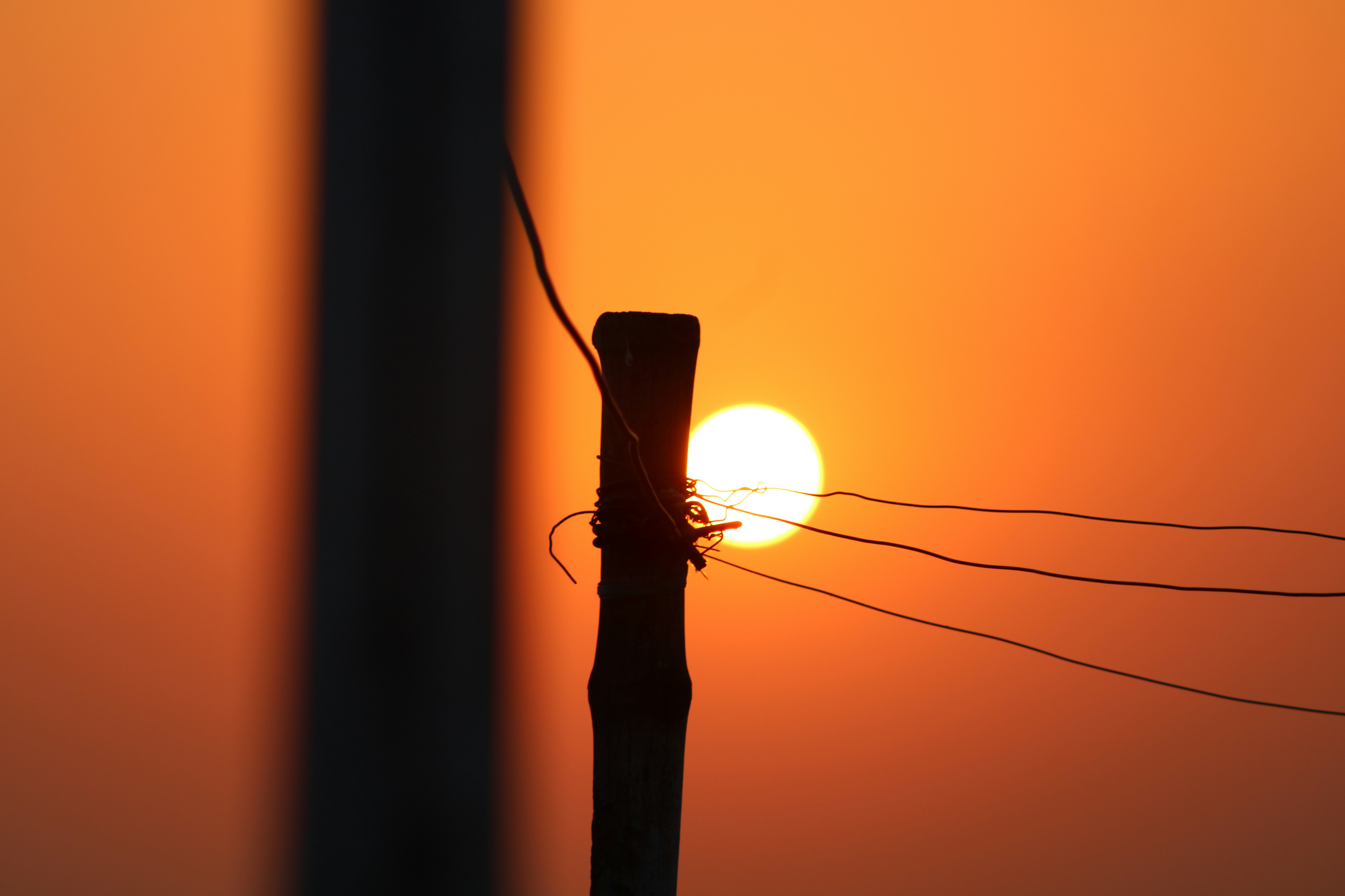 Sun Slip Through Barbed Veil: A Sunset Silhouette Between Fences