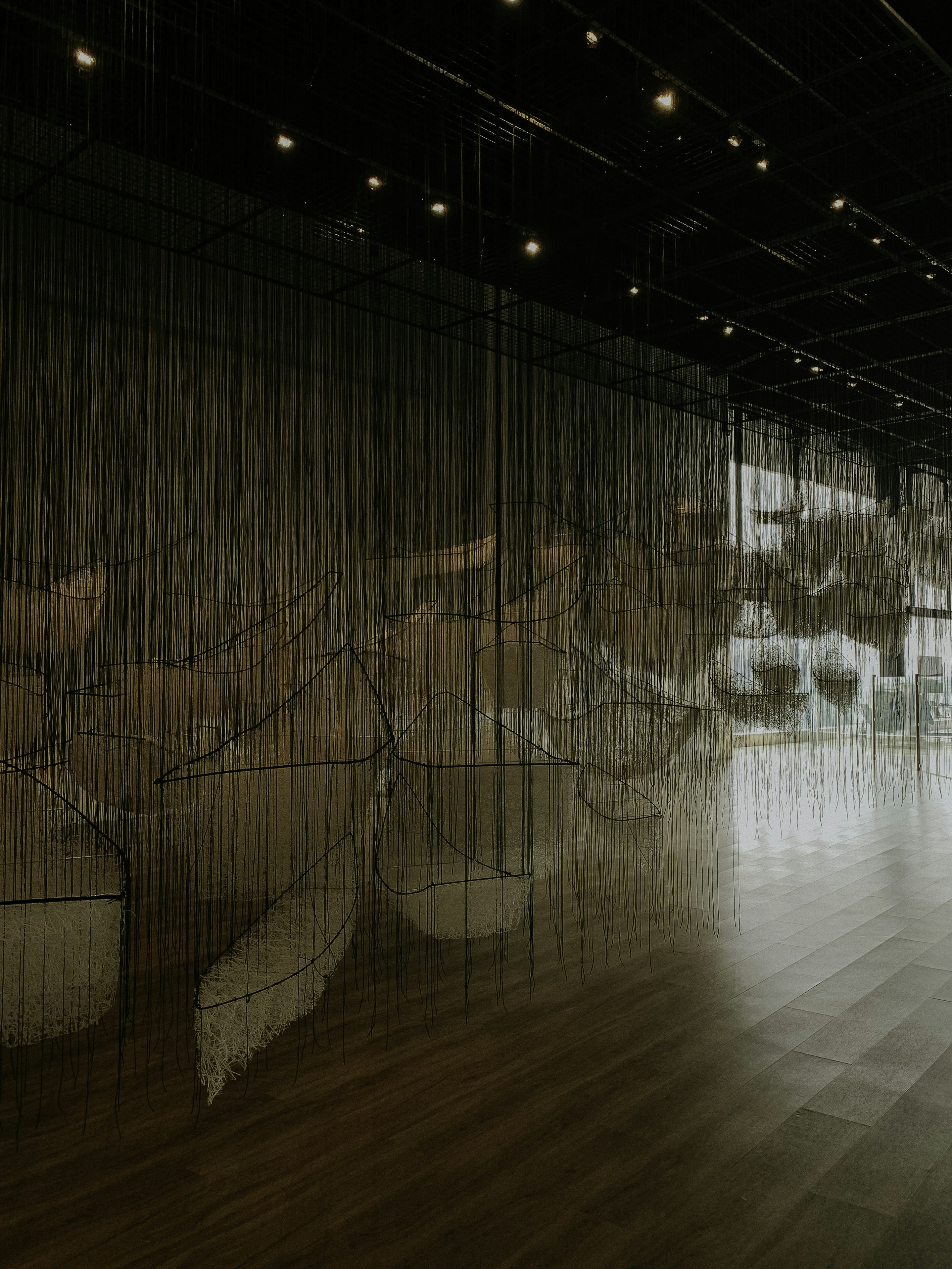 Echoes of Threads: An Immersive Curtain of Lines and Light