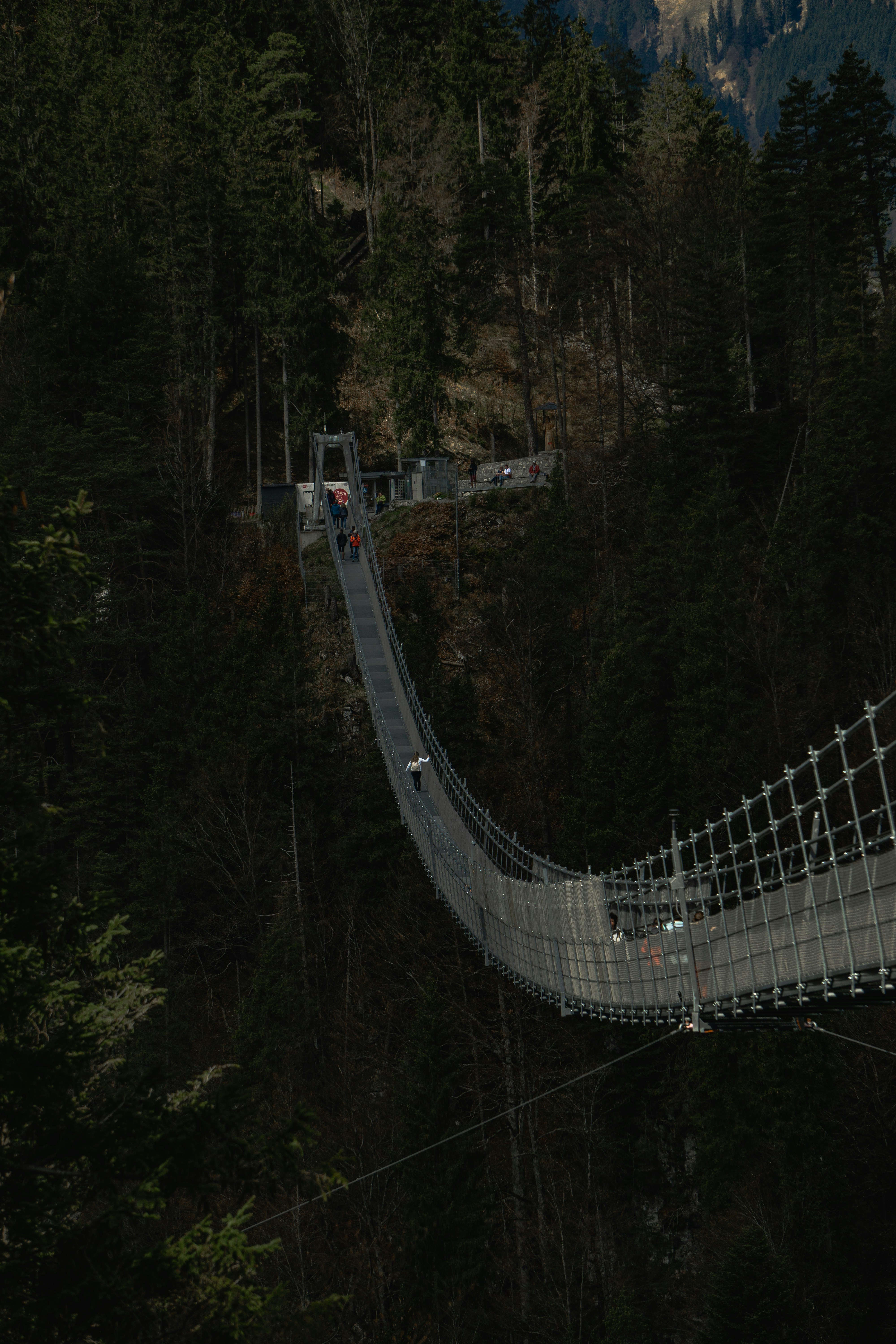 Photo by Eric van Dijk with Sony Alpha 6000