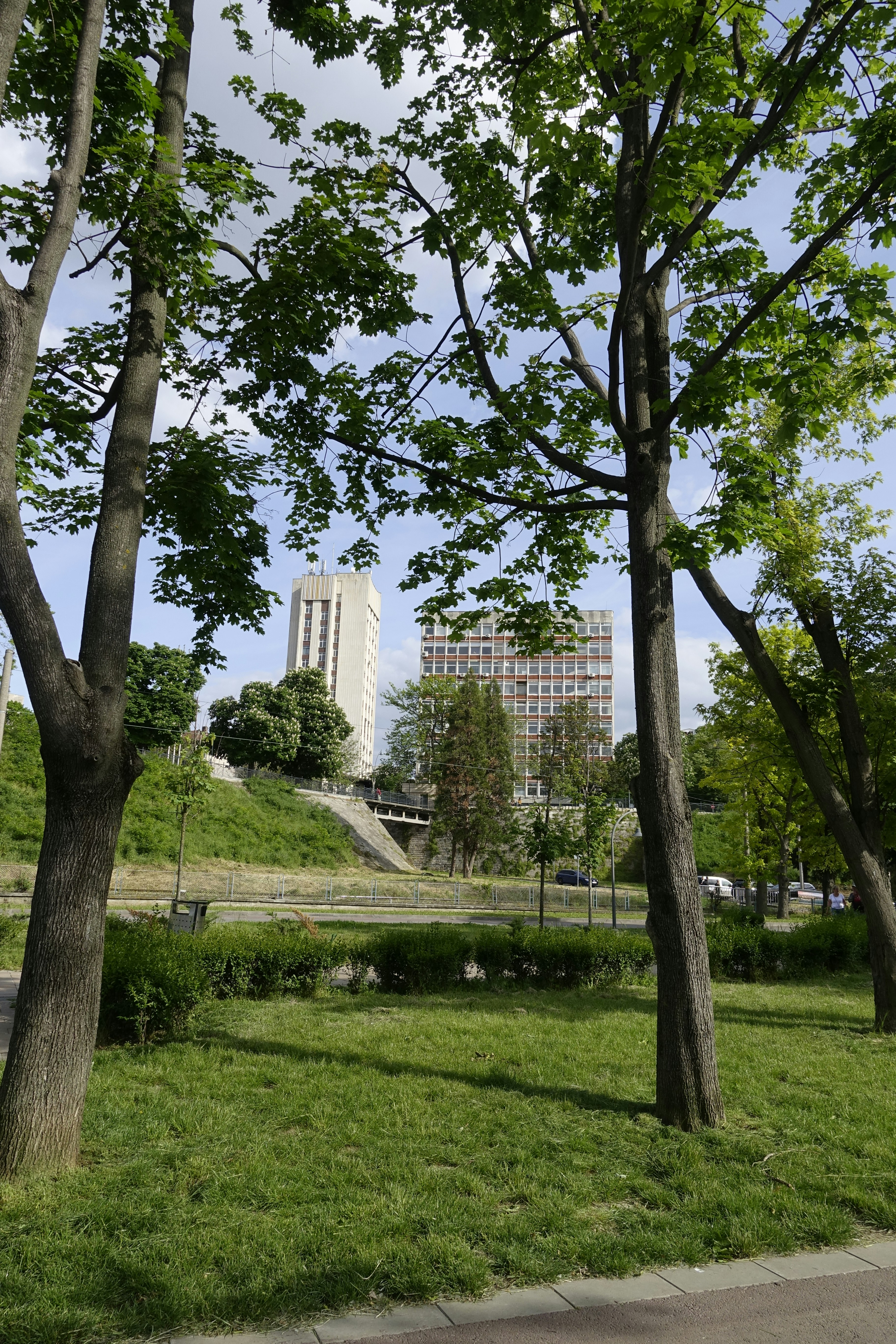 A park with trees and a building in the background photo – Free Ruse ...