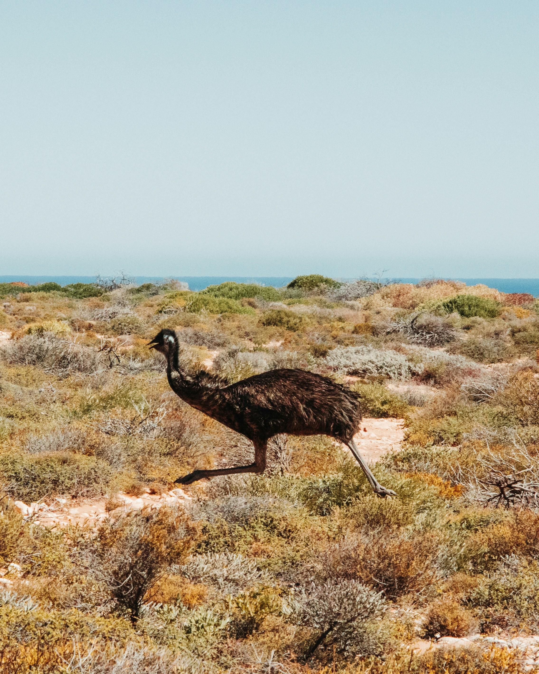 matteo valetti (@el_teo) | Unsplash Photo Community