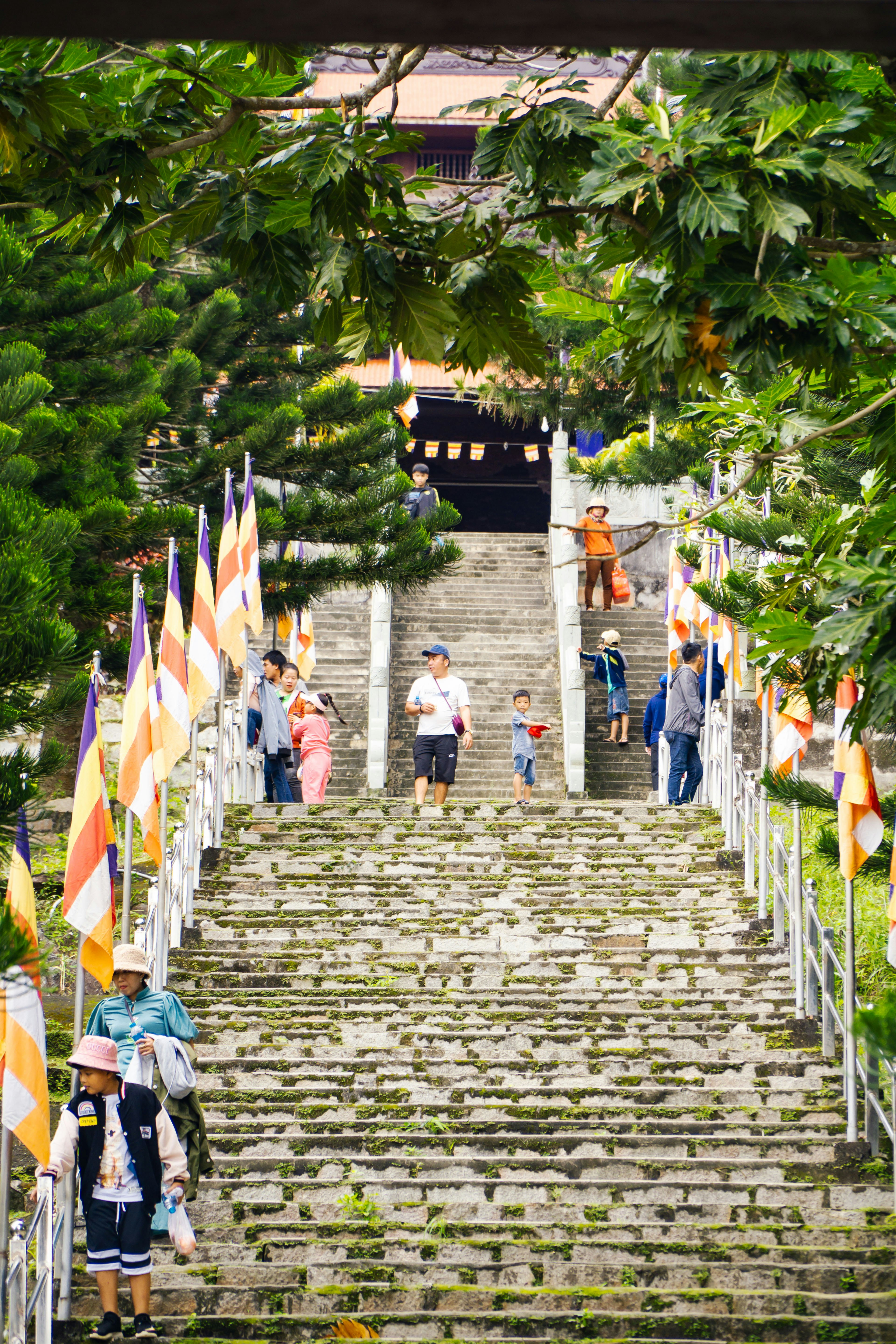 Ascent Through Tradition: A Journey Upward