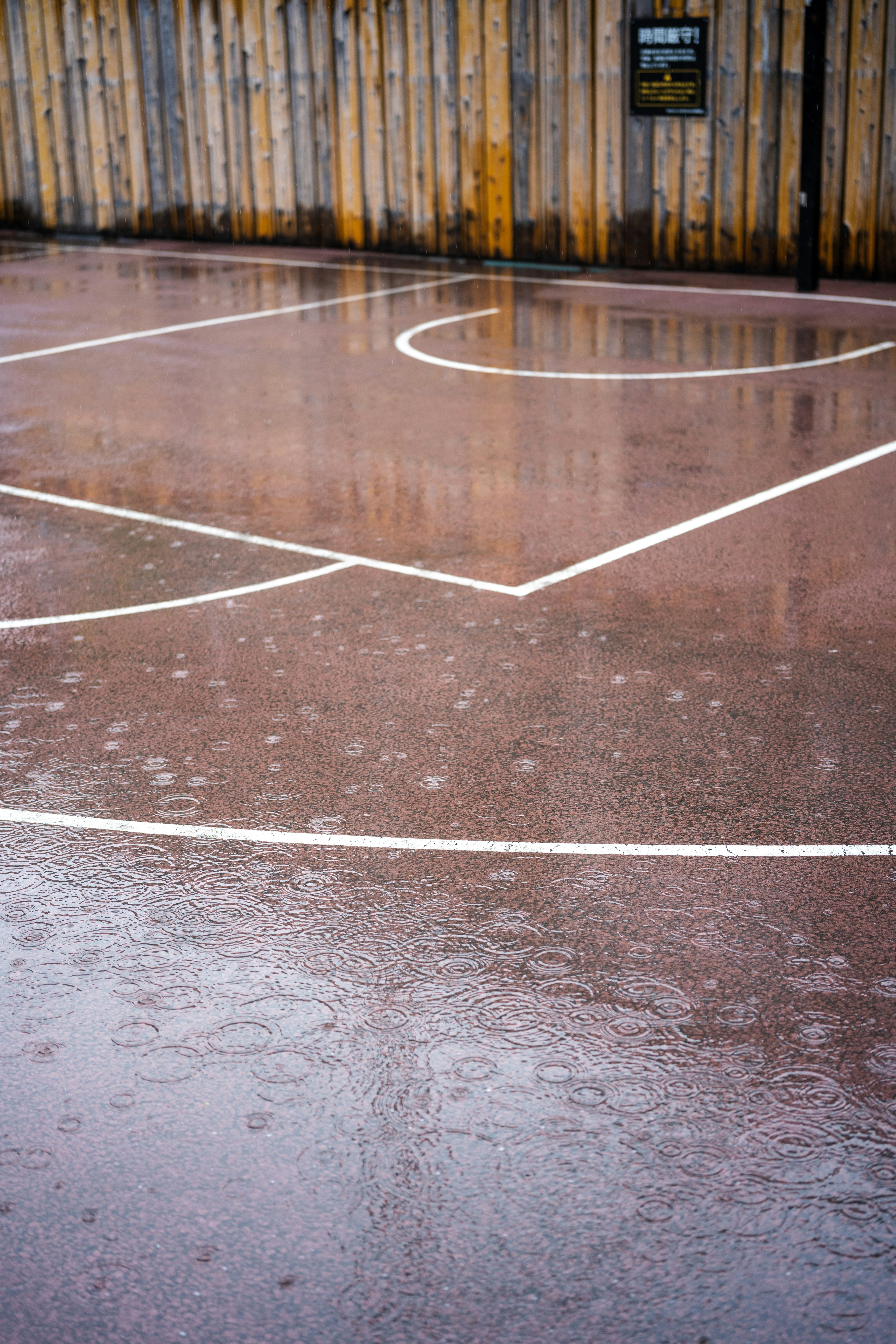 Rain-Polished Court: Reflections and White Lines in Quiet Geometry