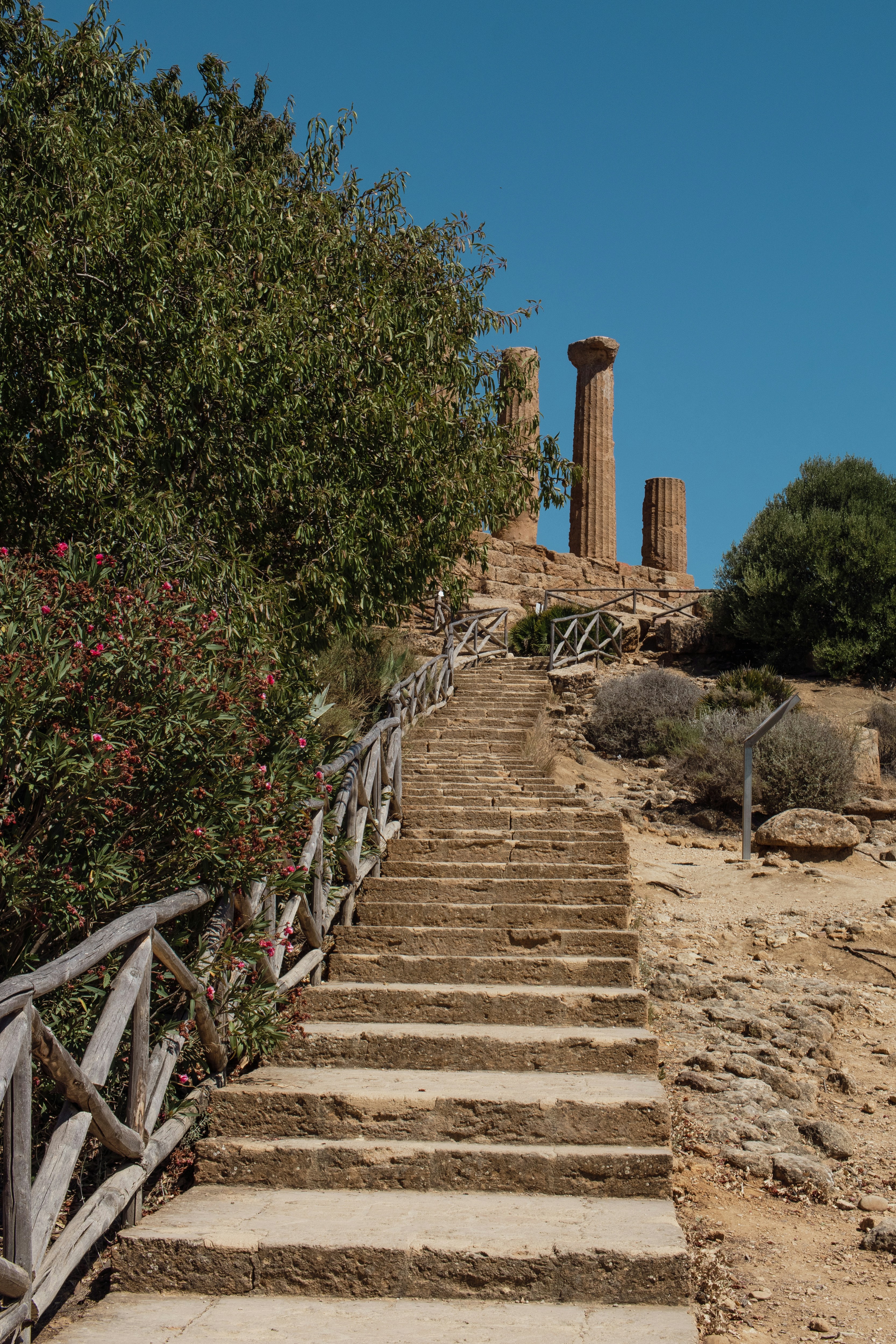 Ascending to the Pillars: Sunlit Staircase Framing Ancient Ruins
