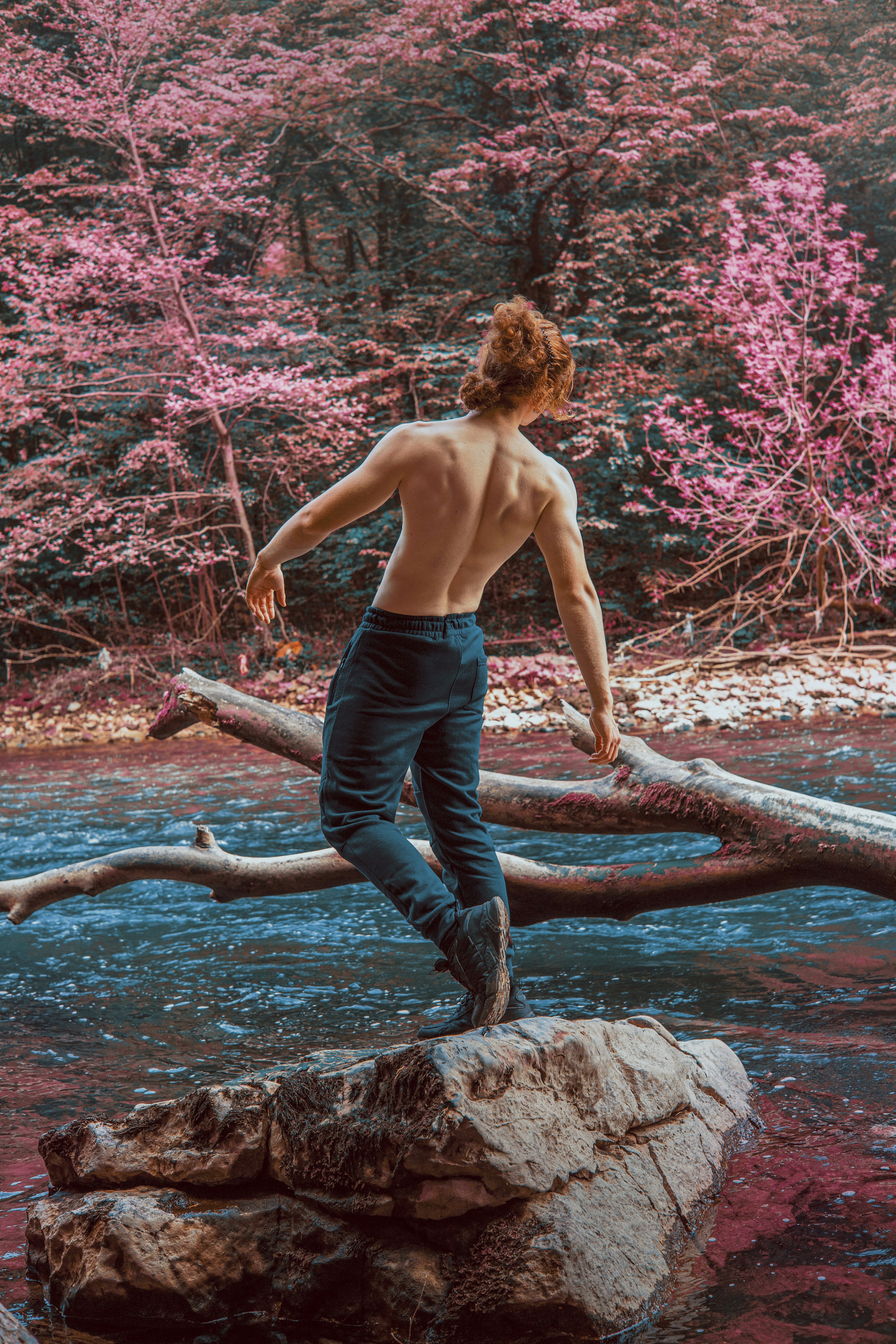Balance in Bloom: A shirtless climber traverses a fallen log over a blue river, framed by pink-tinged woods