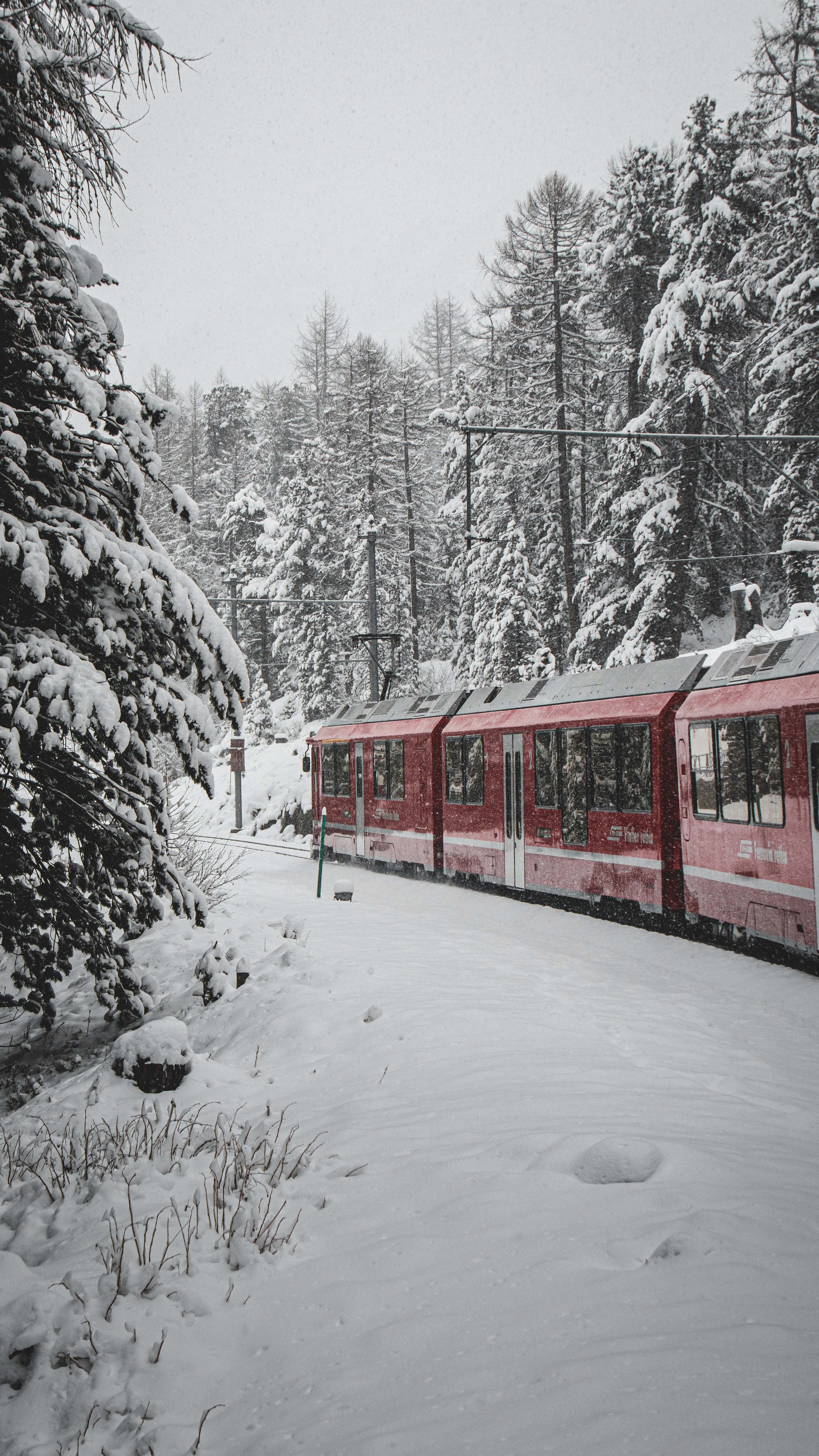 A red train traveling through a snow covered forest photo – Free St ...